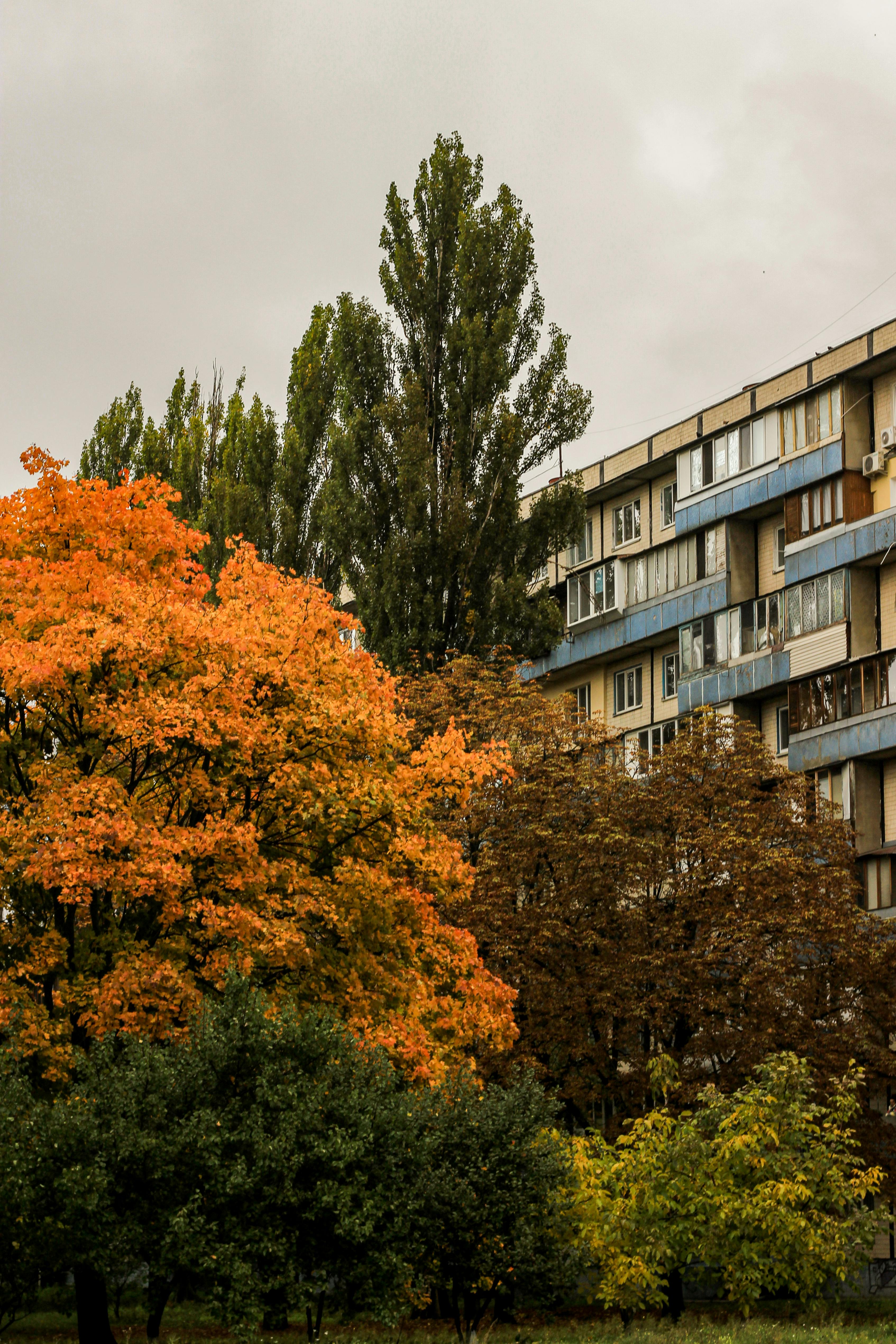 Housing Permit Photos, Download The BEST Free Housing Permit Stock ...