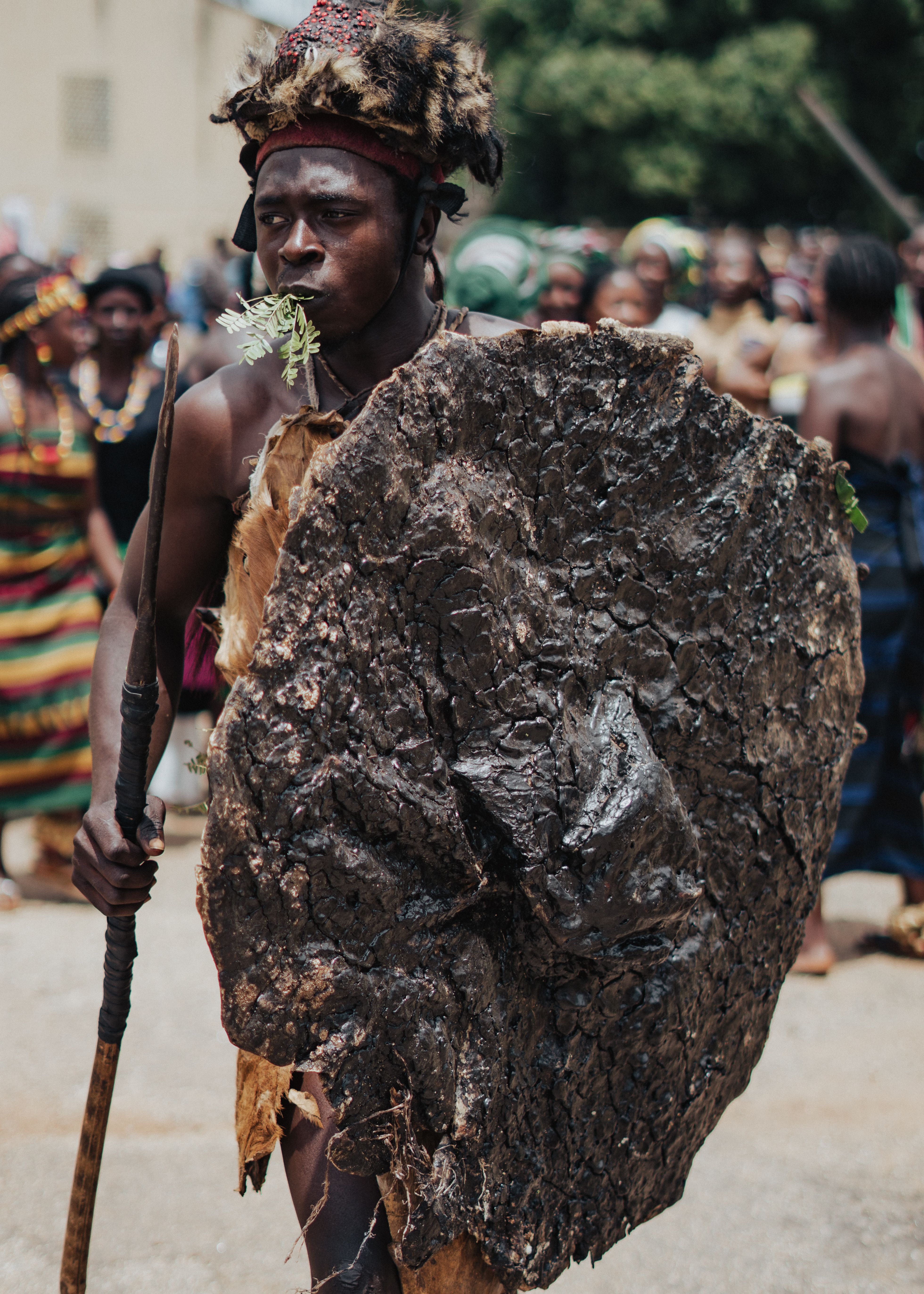 Traditional Nigerian Cultural Festival Celebration · Free Stock Photo