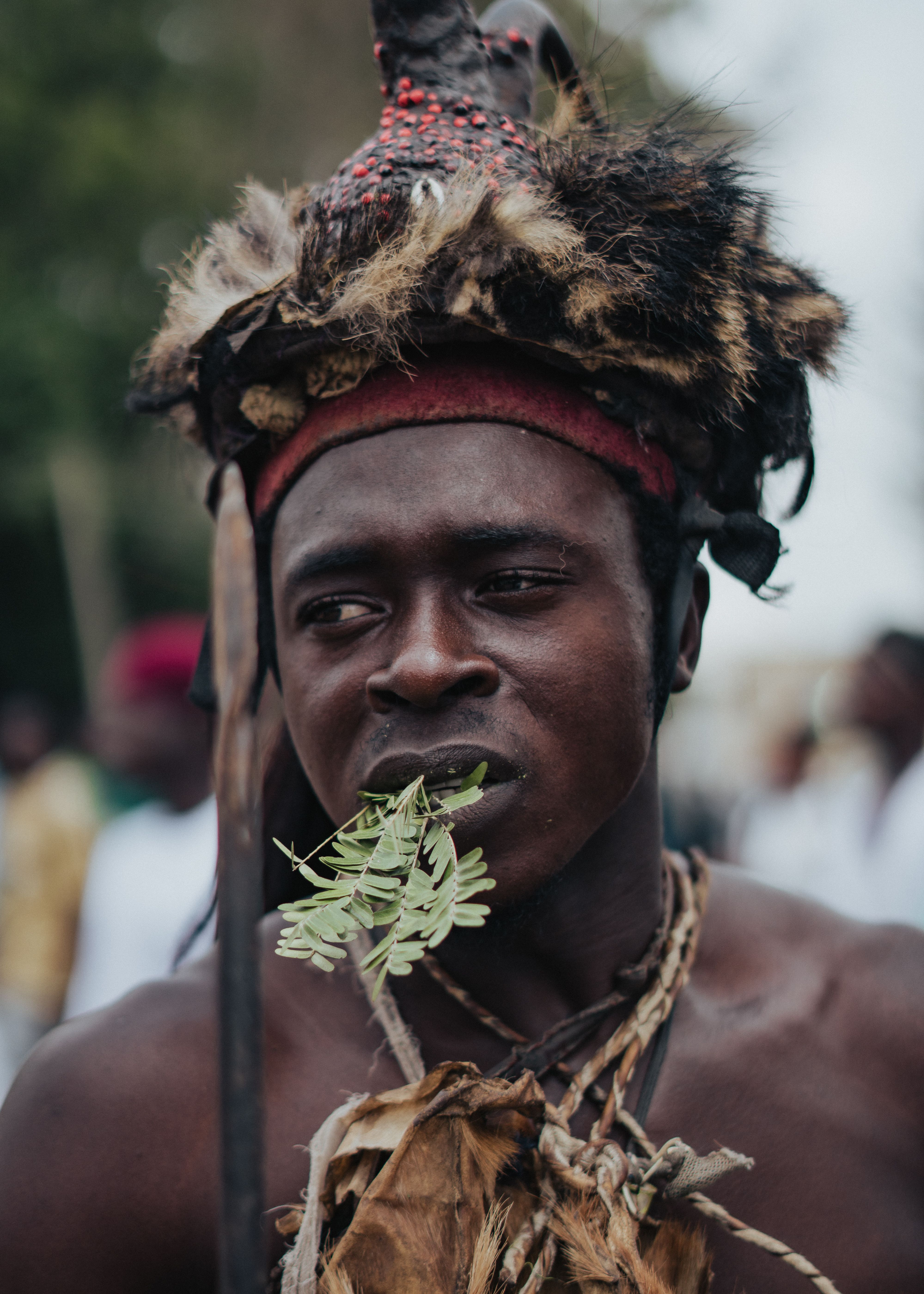 Traditional Nigerian Cultural Festival Celebration · Free Stock Photo