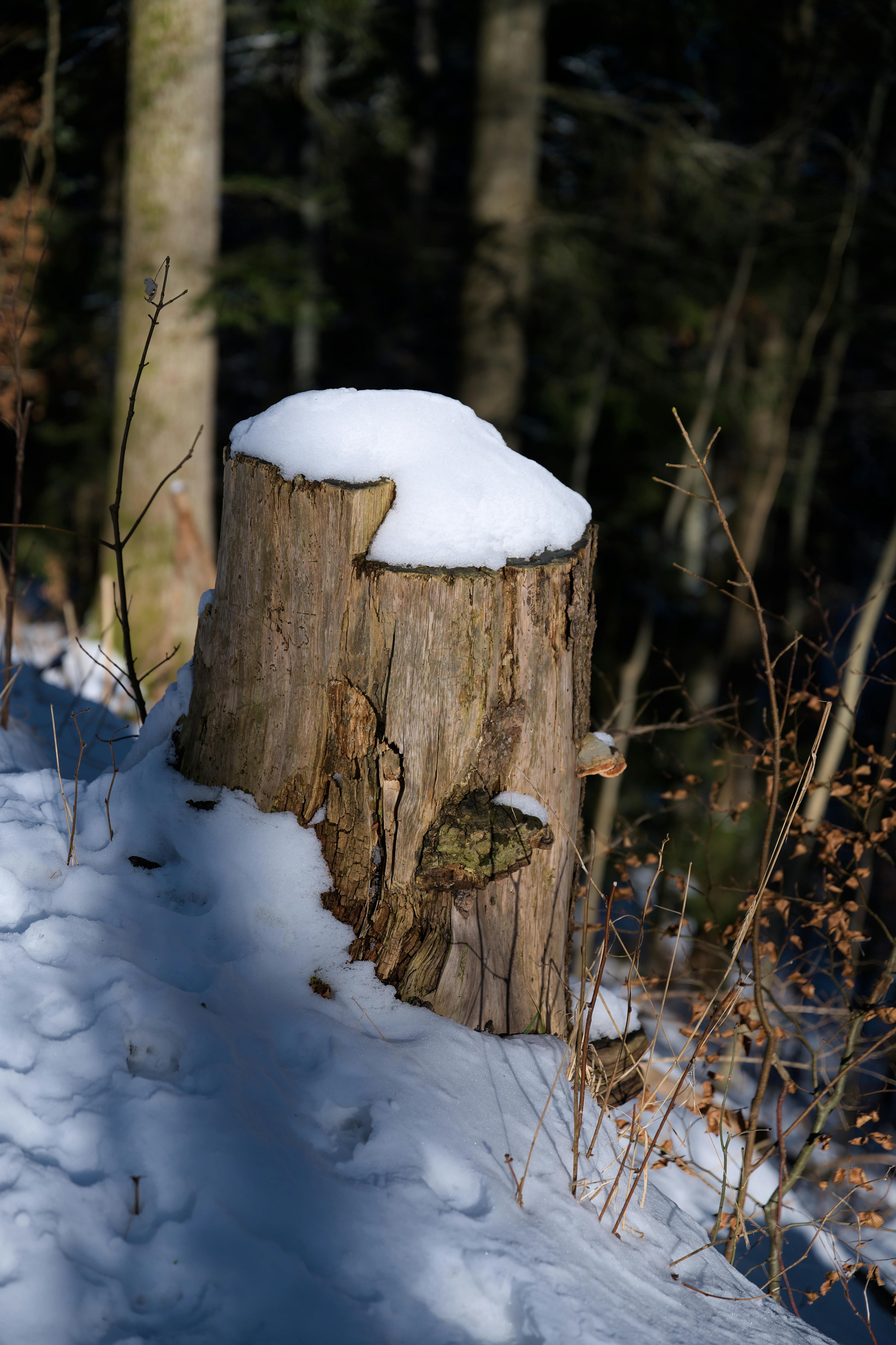 Cold Football Photos, Download The BEST Free Cold Football Stock Photos ...