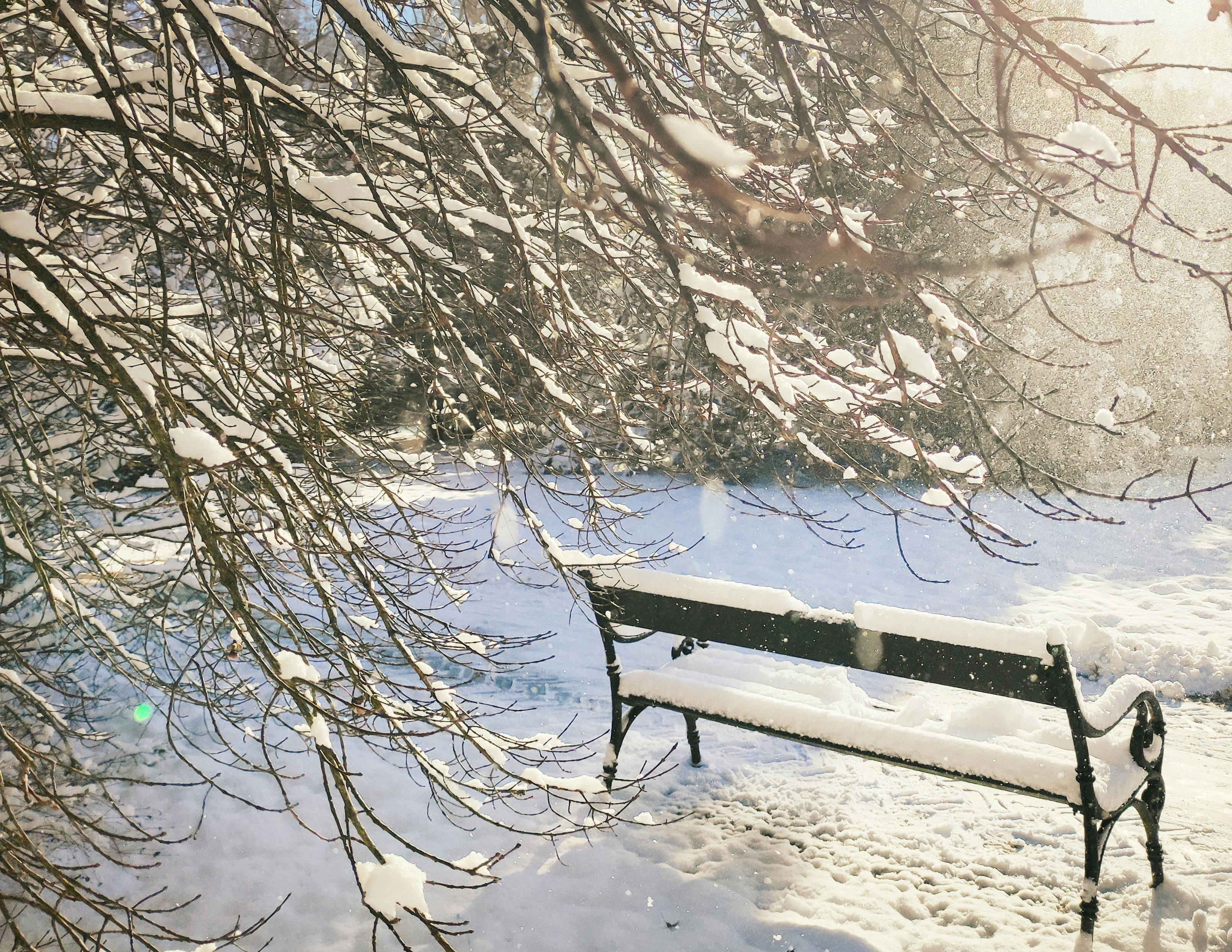 Hello December Photos, Download The BEST Free Hello December Stock ...