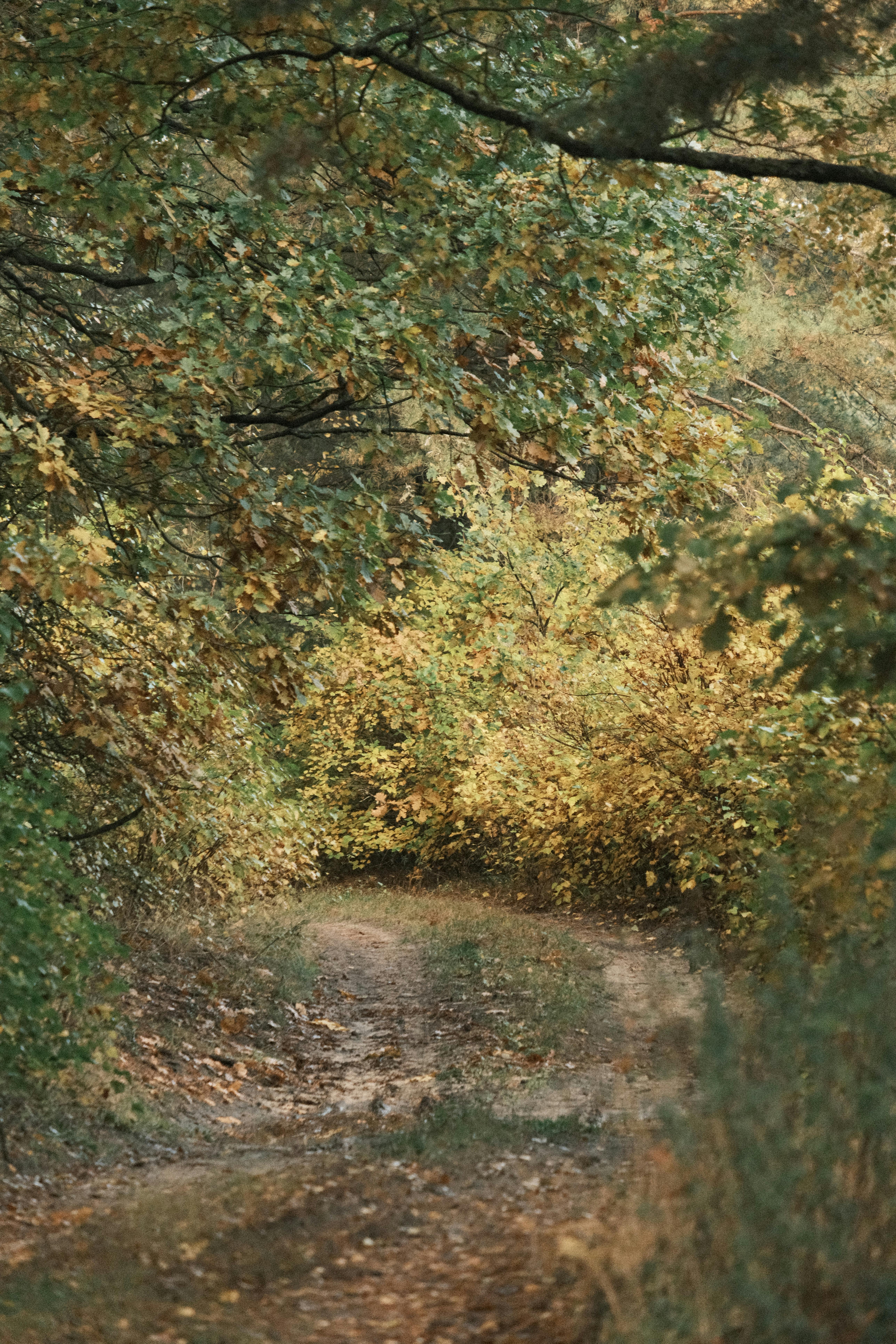 November Scenery Photos, Download The BEST Free November Scenery Stock ...