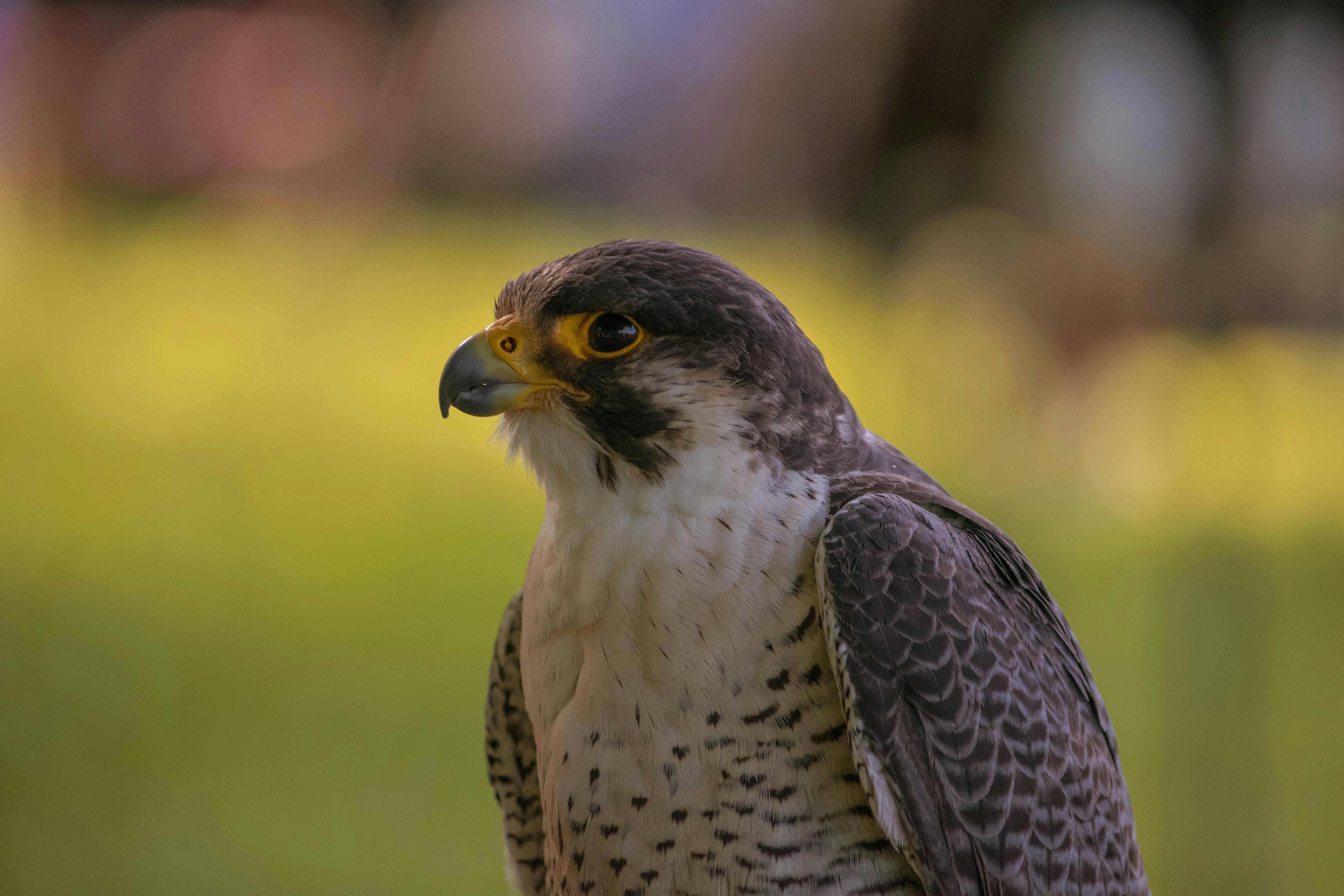 Vtu+Logo+Images Photos, Download The BEST Free Vtu+Logo+Images Stock ...