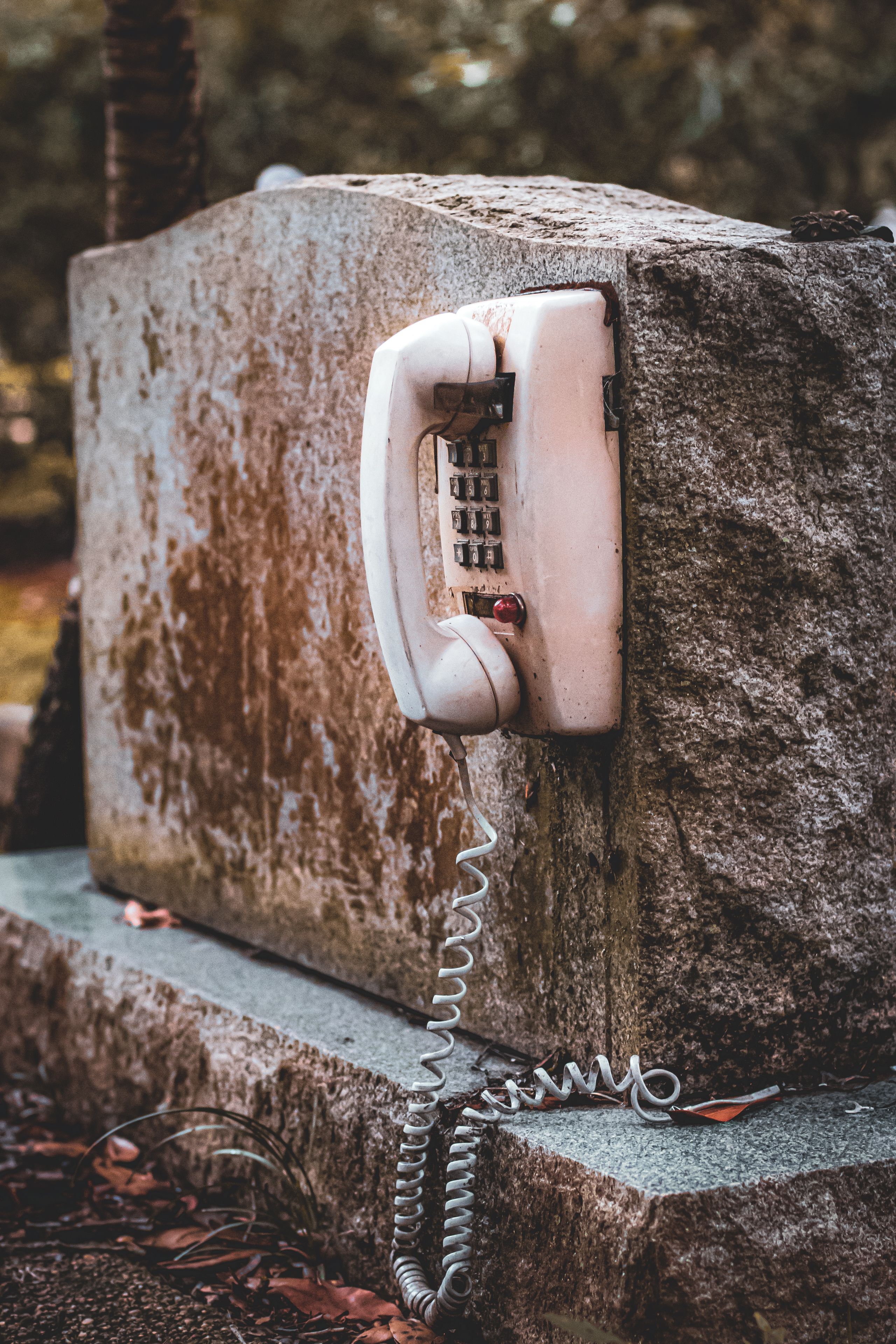 Red Rotary Phone With Black Wheels Near Brown Grasses during Day Time ...