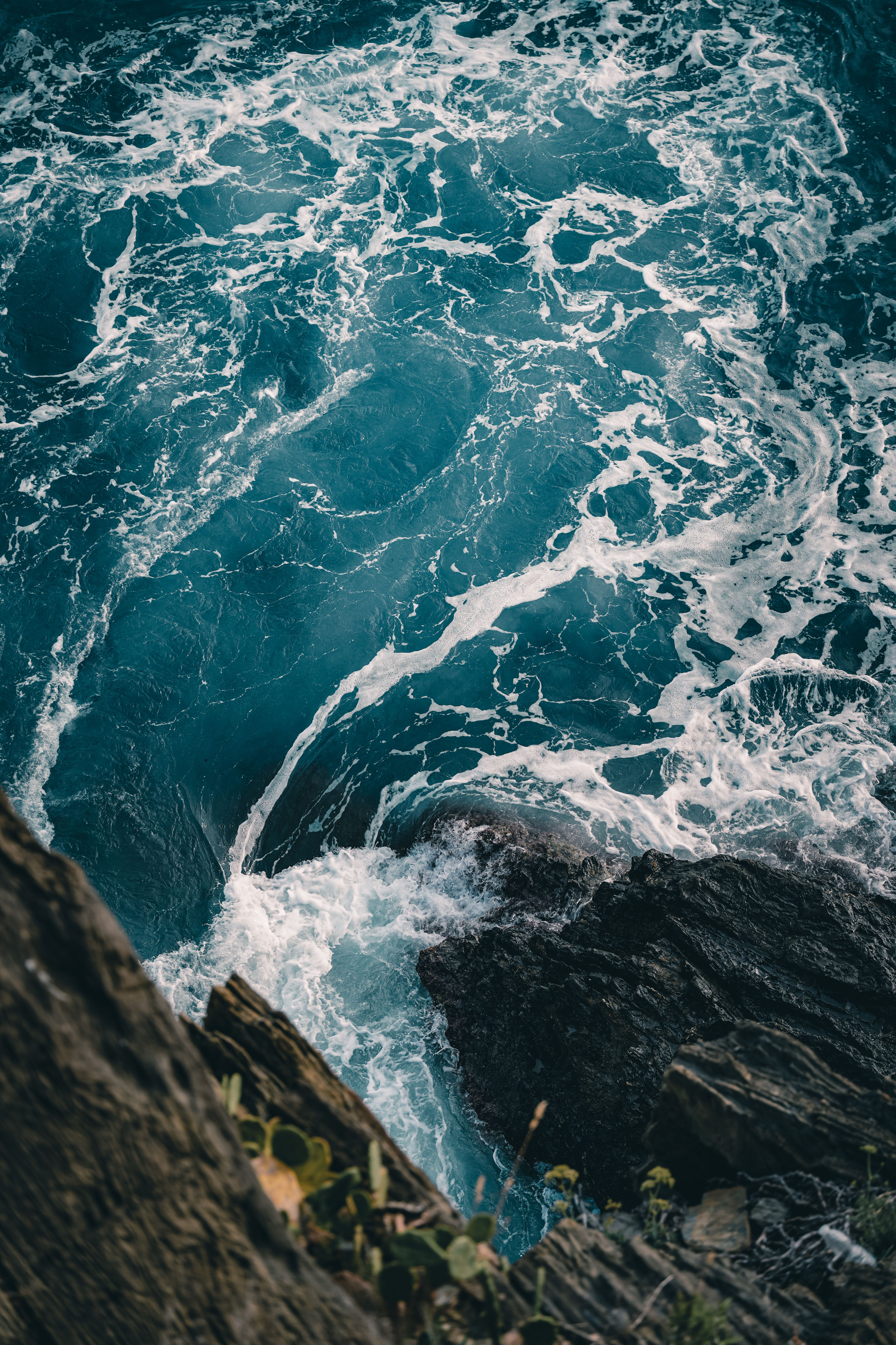 Shore A Per Photos, Download The BEST Free Shore A Per Stock Photos ...