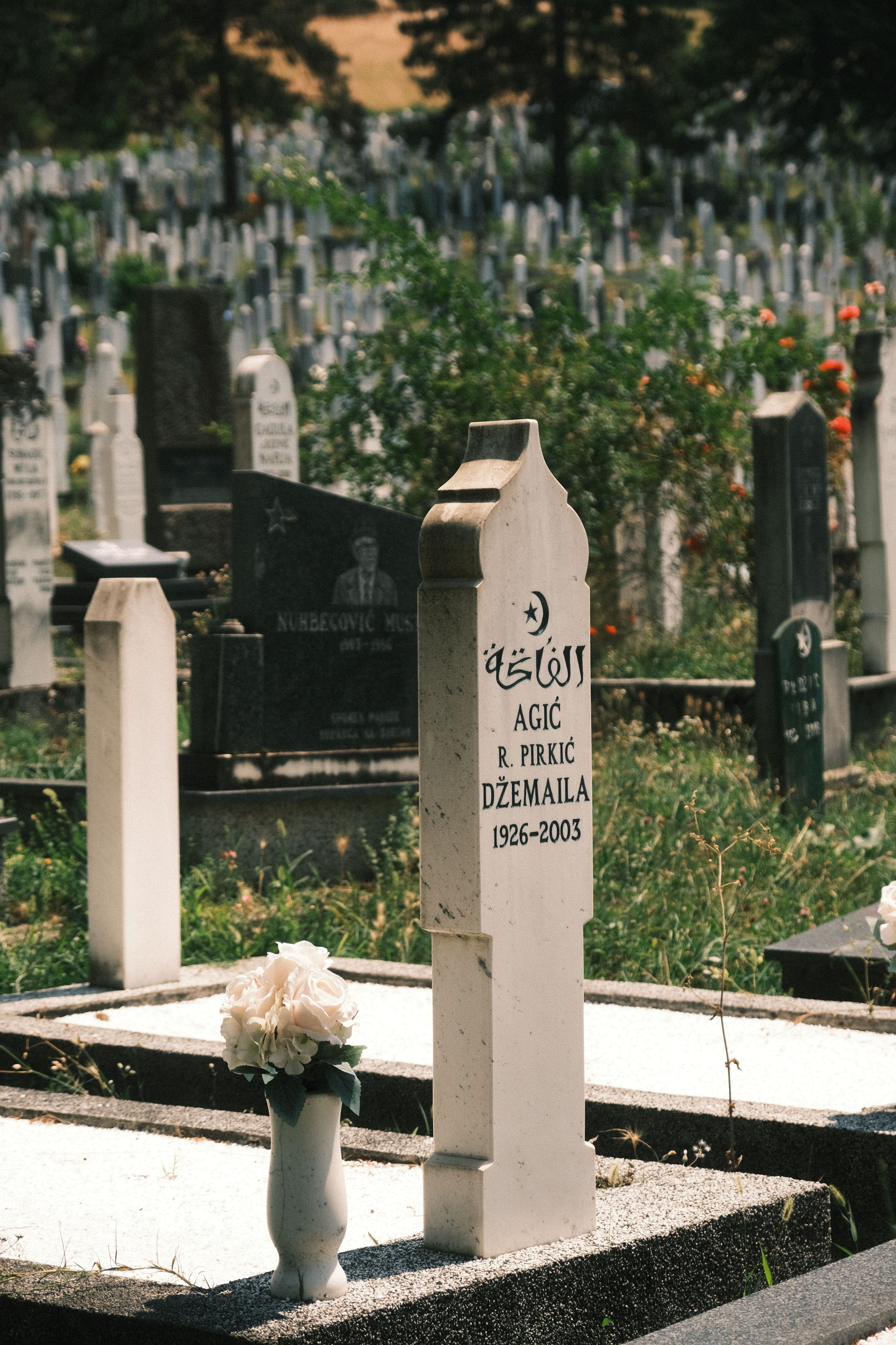 Bargaining Death Photos, Download The BEST Free Bargaining Death Stock ...