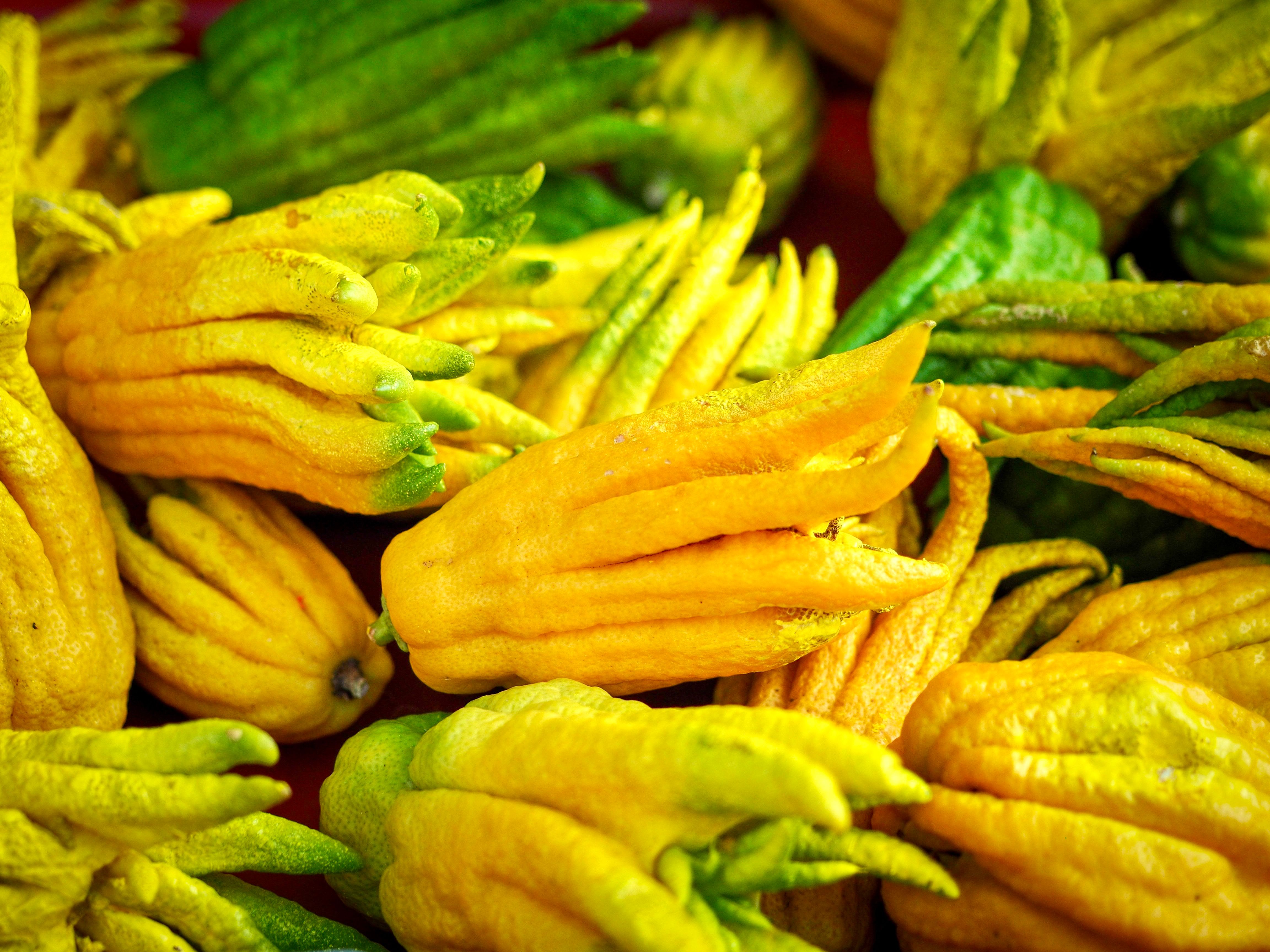 Buddha Fruit Photos, Download The BEST Free Buddha Fruit Stock Photos ...