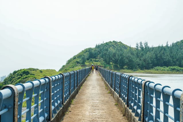 Lyv Stock Analysis: Trends and Insights for Investors