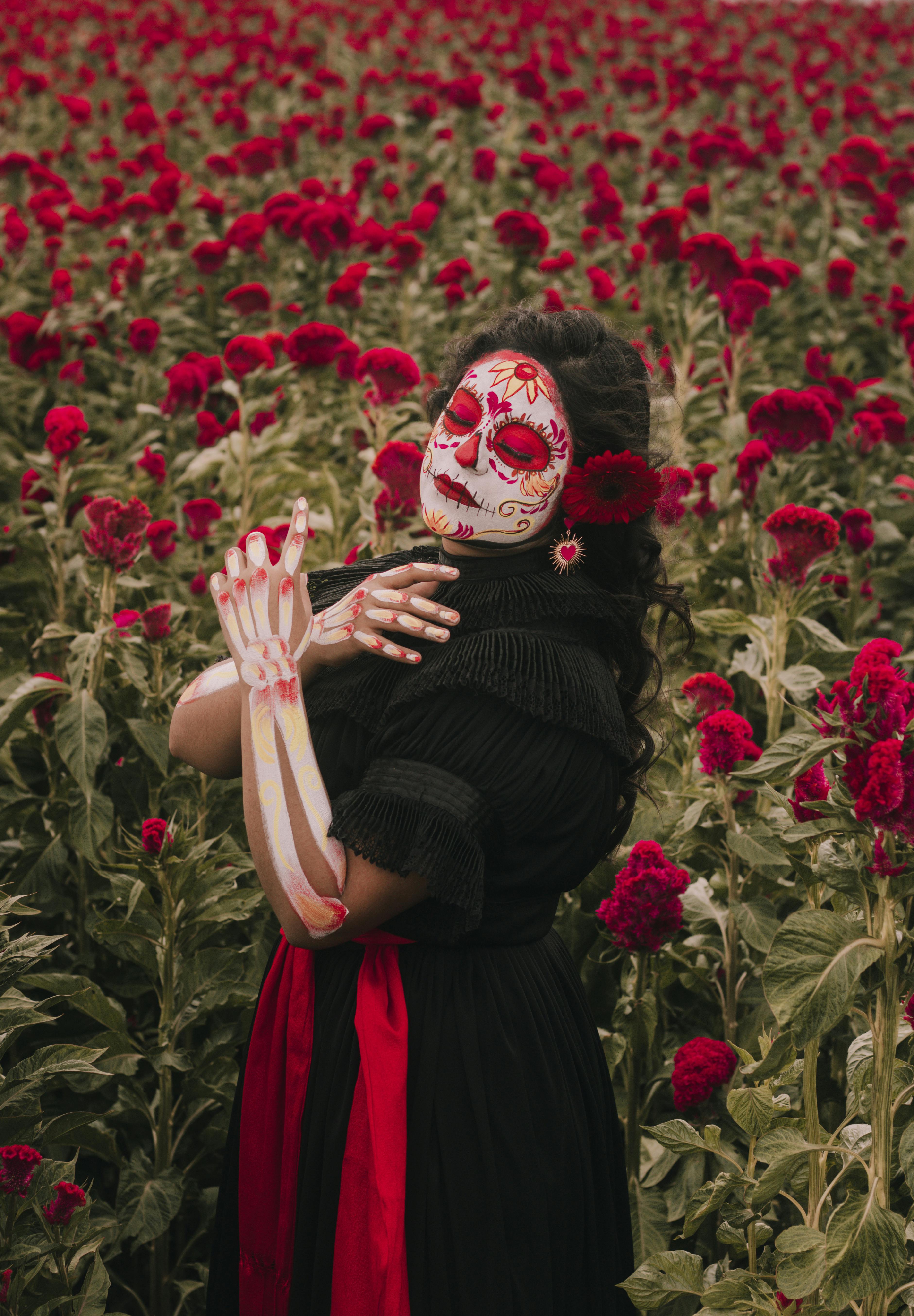 Ingyenes stockfotó ebben a témában: a halál napja, álló kép, arc ...