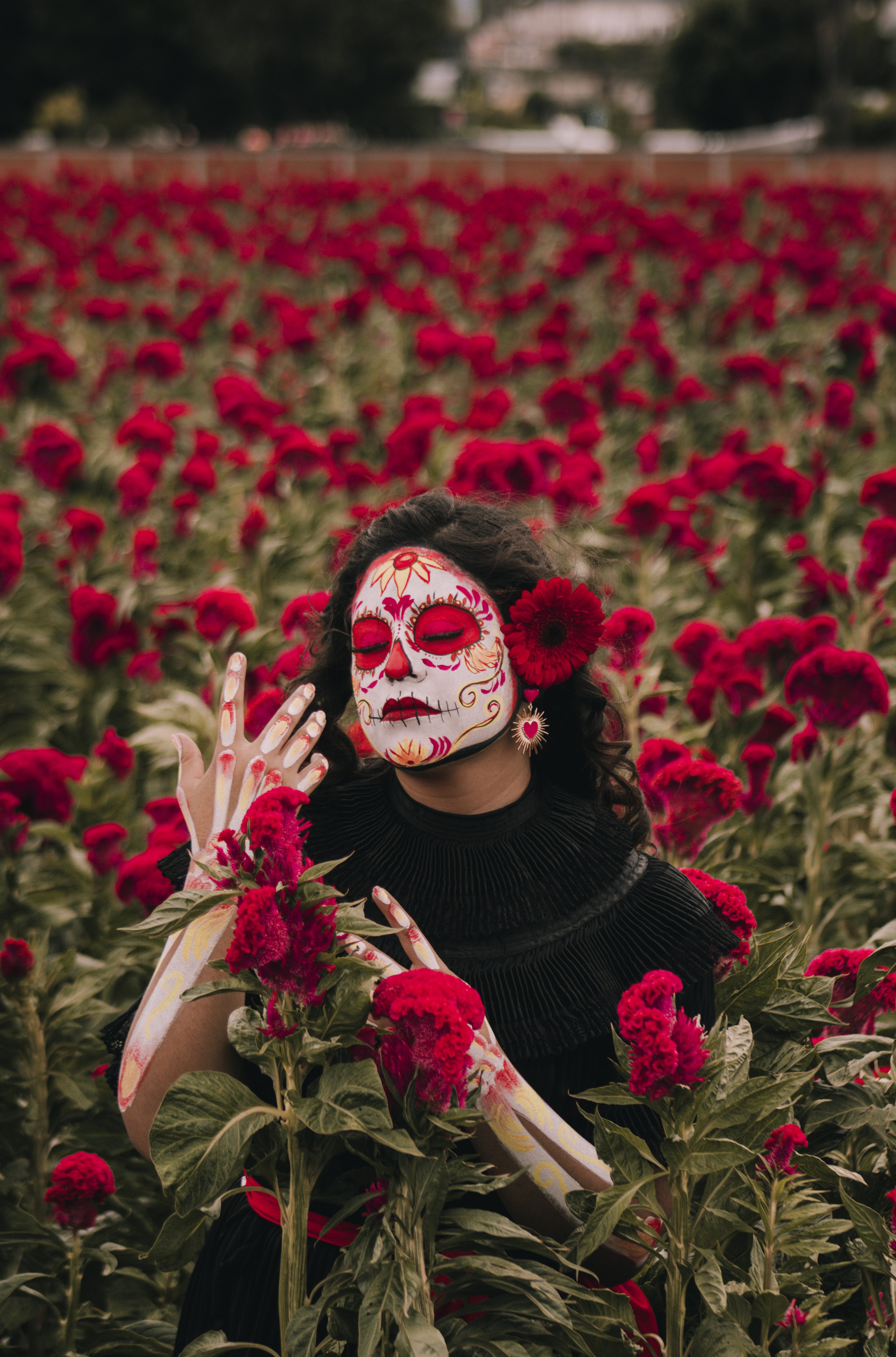 Stunning Dia de Muertos Catrina in Red Flower Field · Free Stock Photo