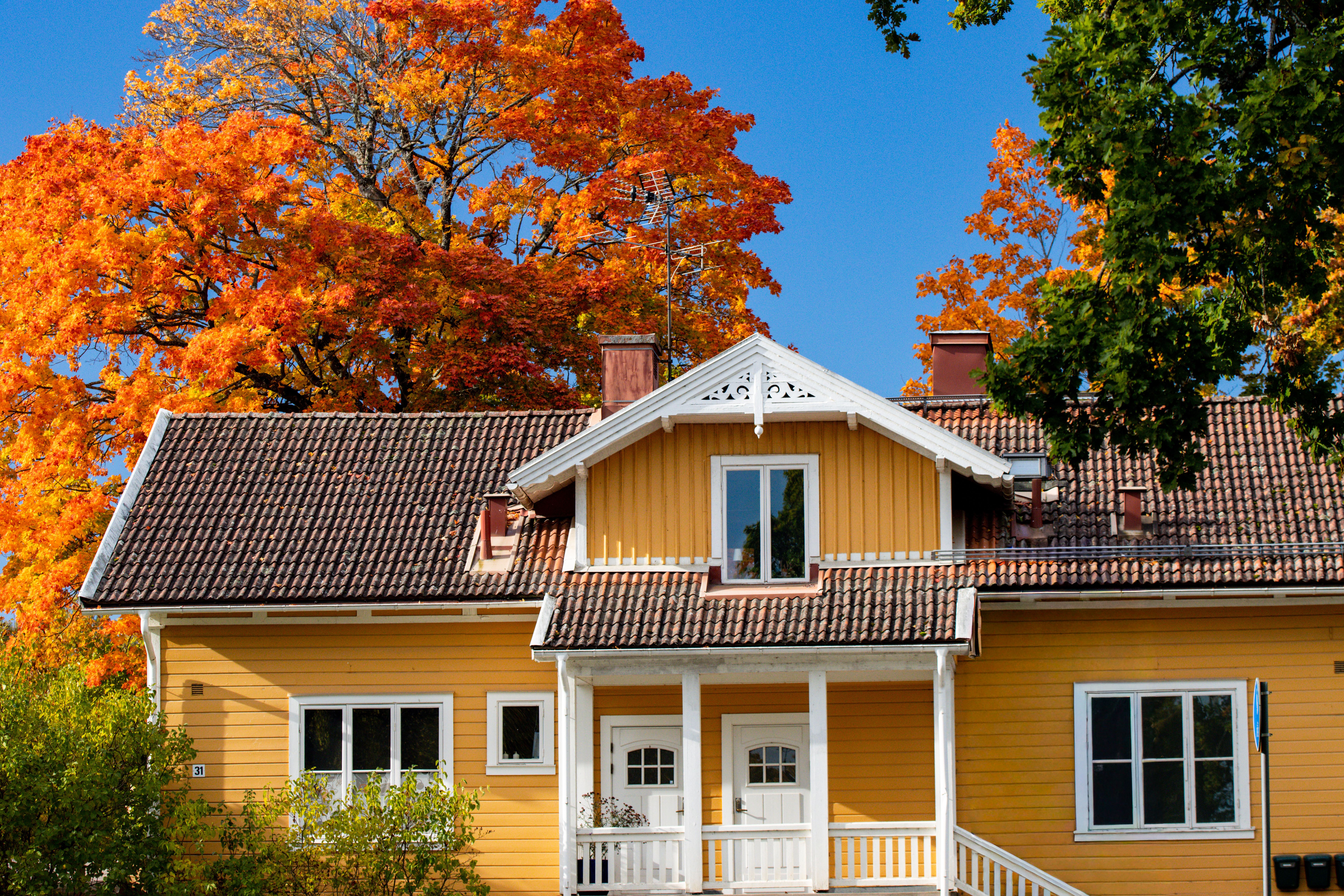 Charming Swedish House with Autumn Foliage · Free Stock Photo