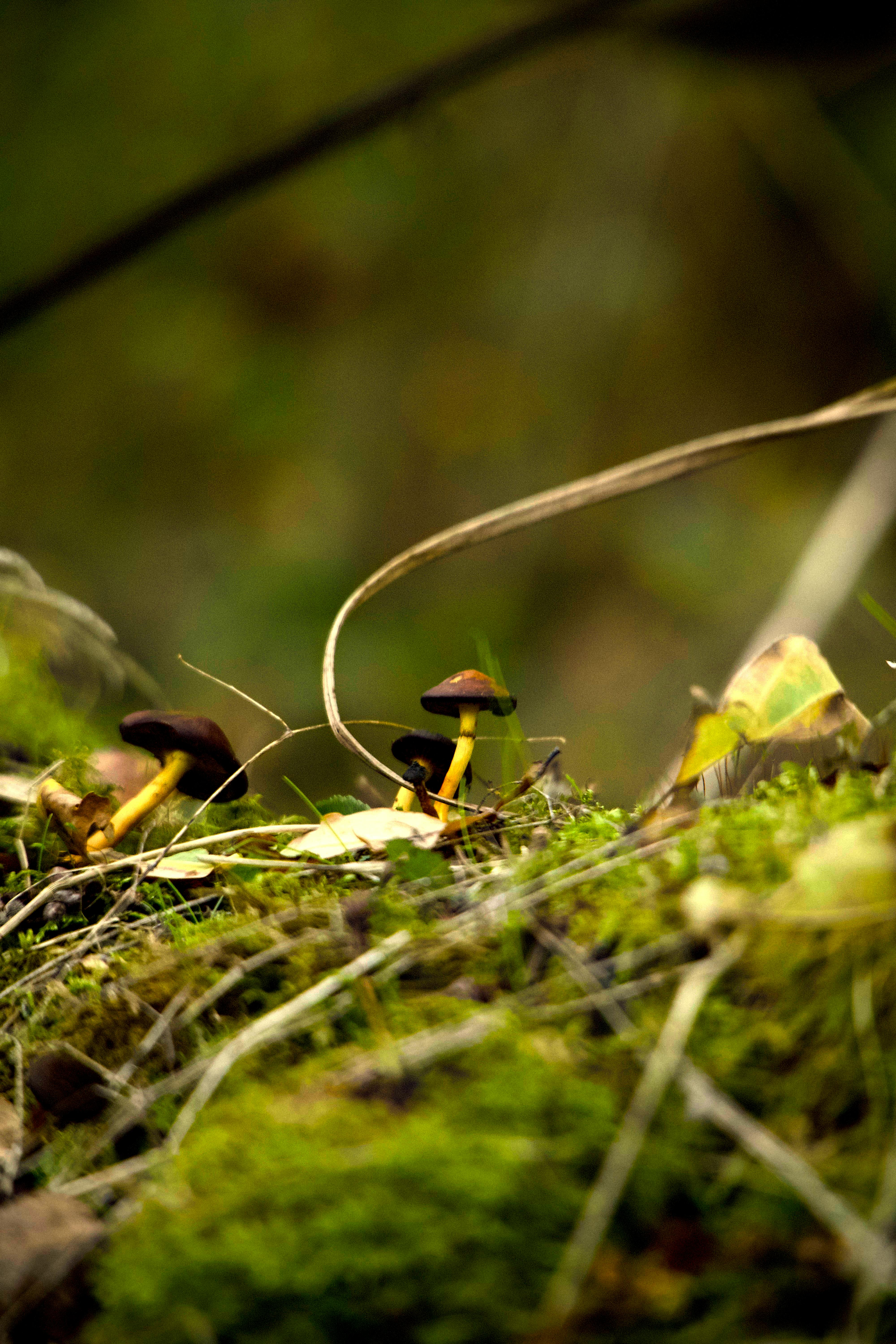 Small Photos, Download The BEST Free Small Stock Photos & HD Images