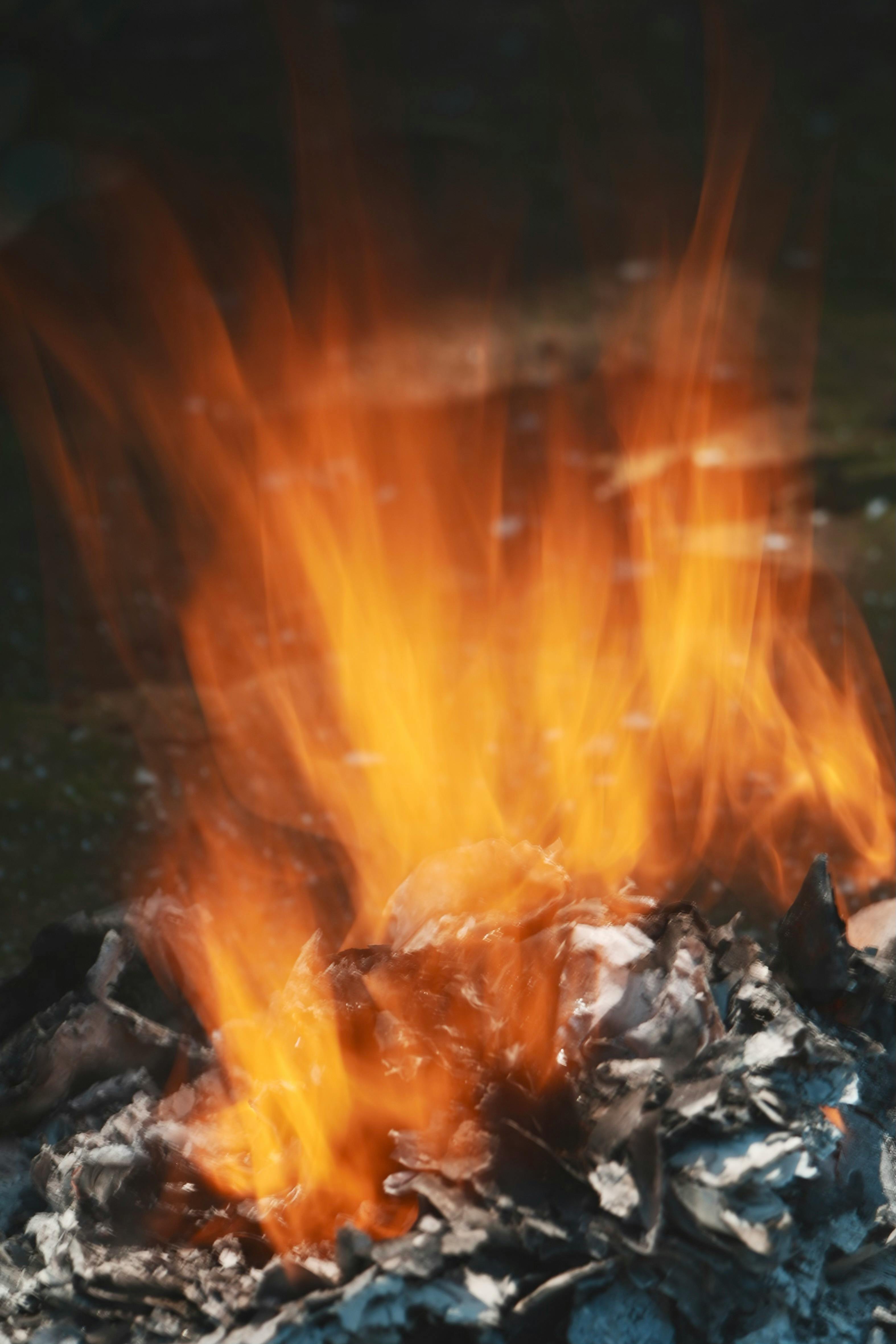 Ashes Trophy Photos, Download The BEST Free Ashes Trophy Stock Photos ...