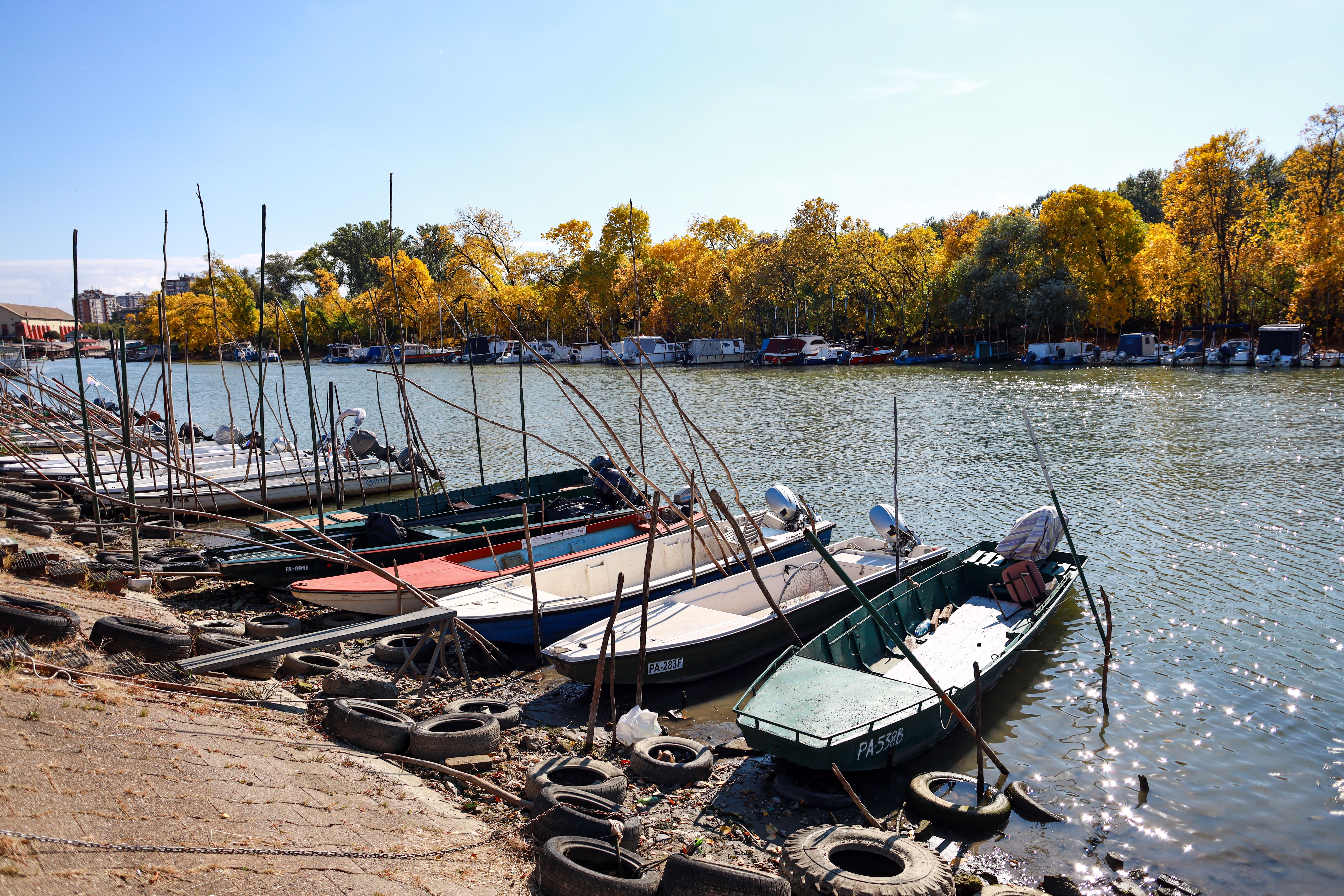Serene Riverside Dock with Boats in Fall · Free Stock Photo
