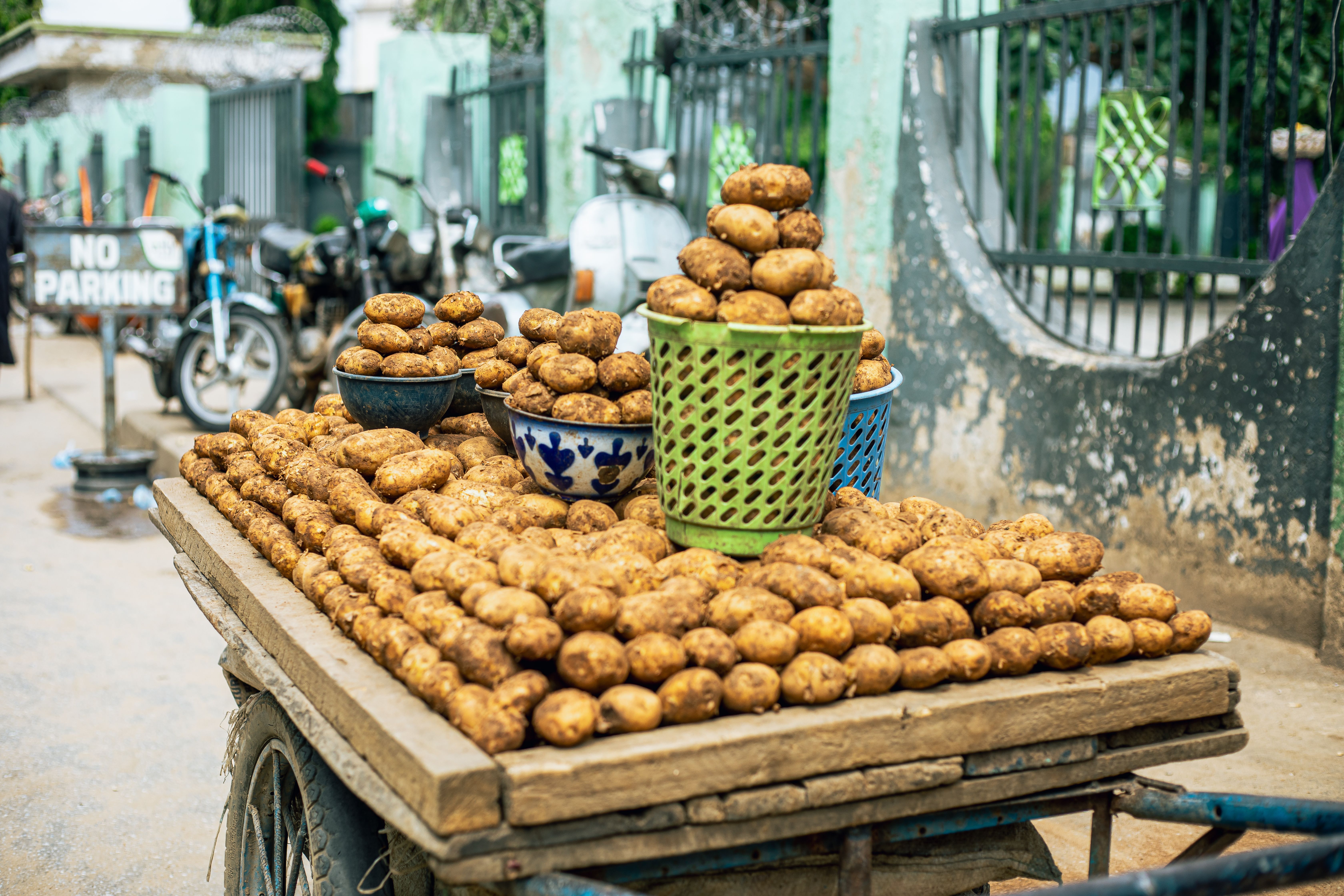 Big Potato Photos, Download The BEST Free Big Potato Stock Photos & HD ...