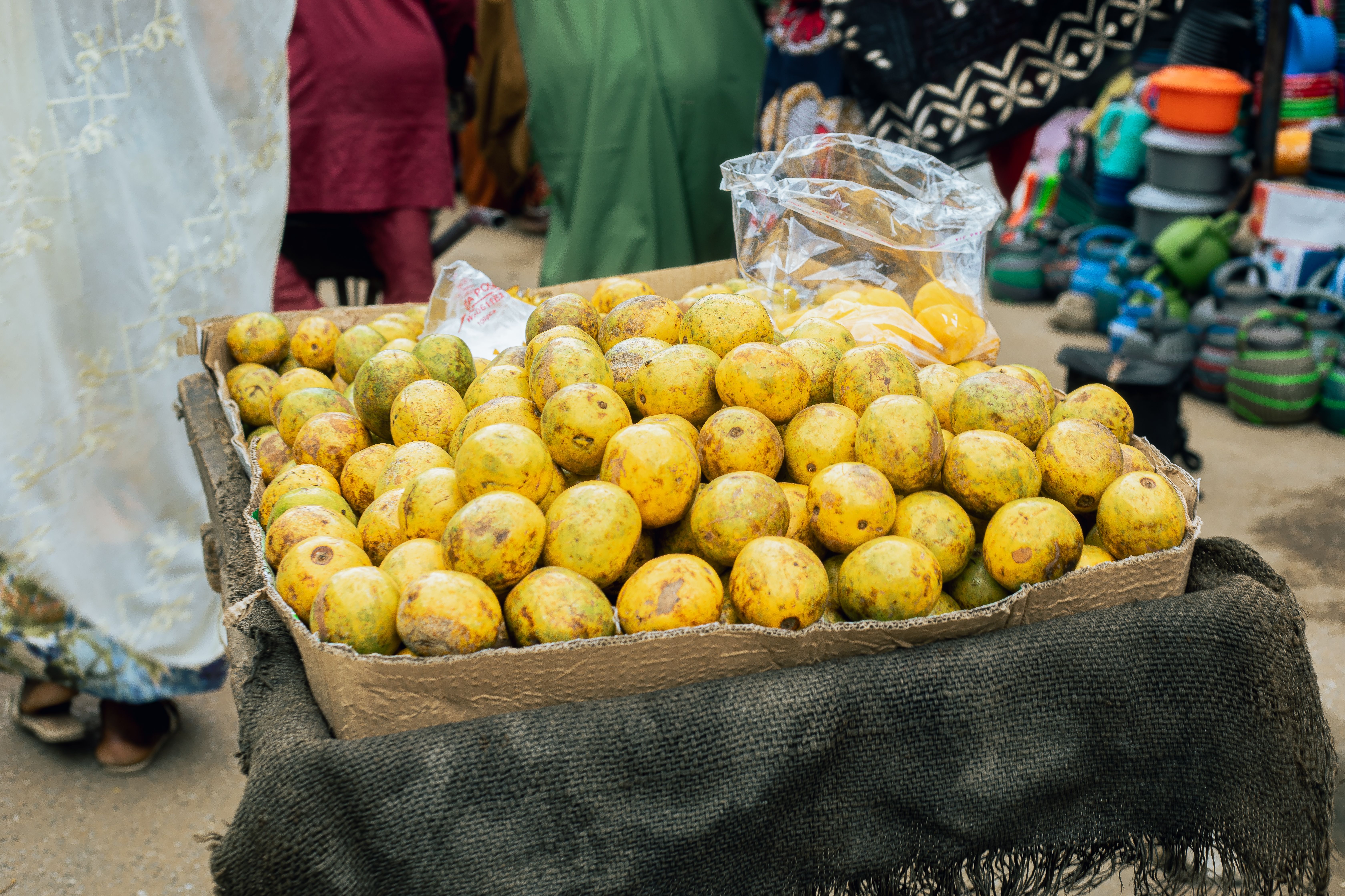 Mango Mania Photos, Download The BEST Free Mango Mania Stock Photos ...