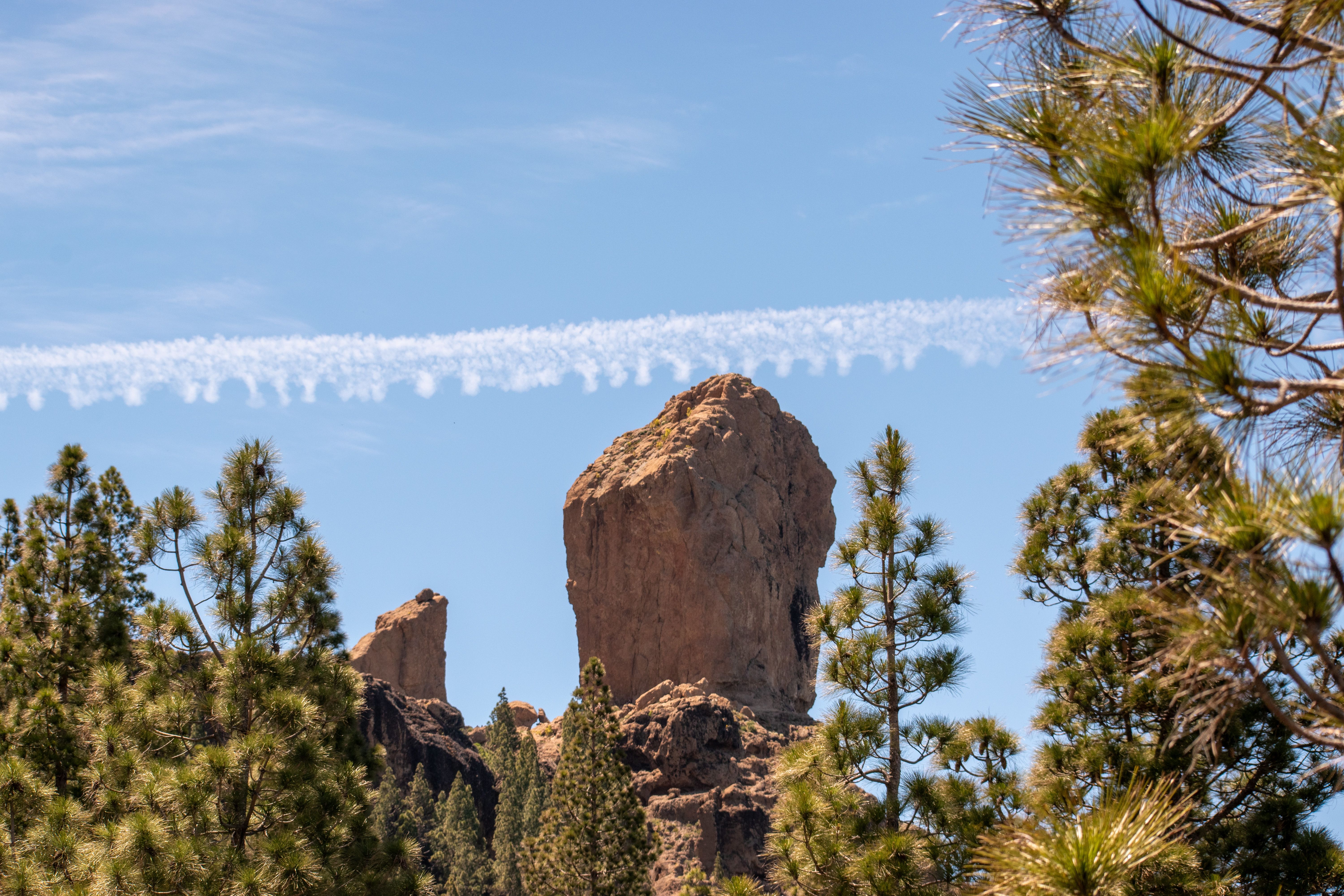 Majestic Rock and Pine Trees in Sunlit Landscape · Free Stock Photo