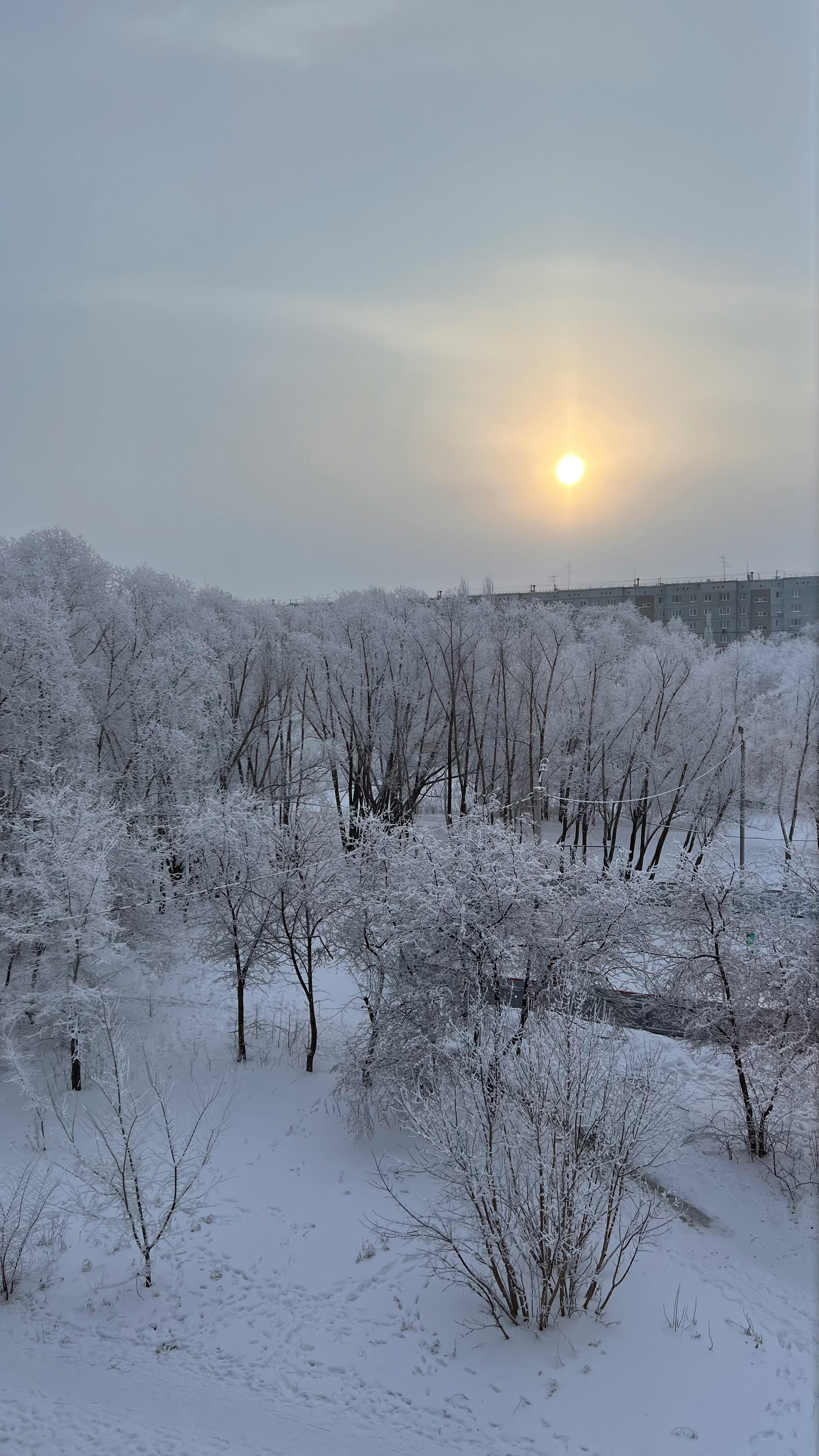 January Photos, Download The BEST Free January Stock Photos & HD Images