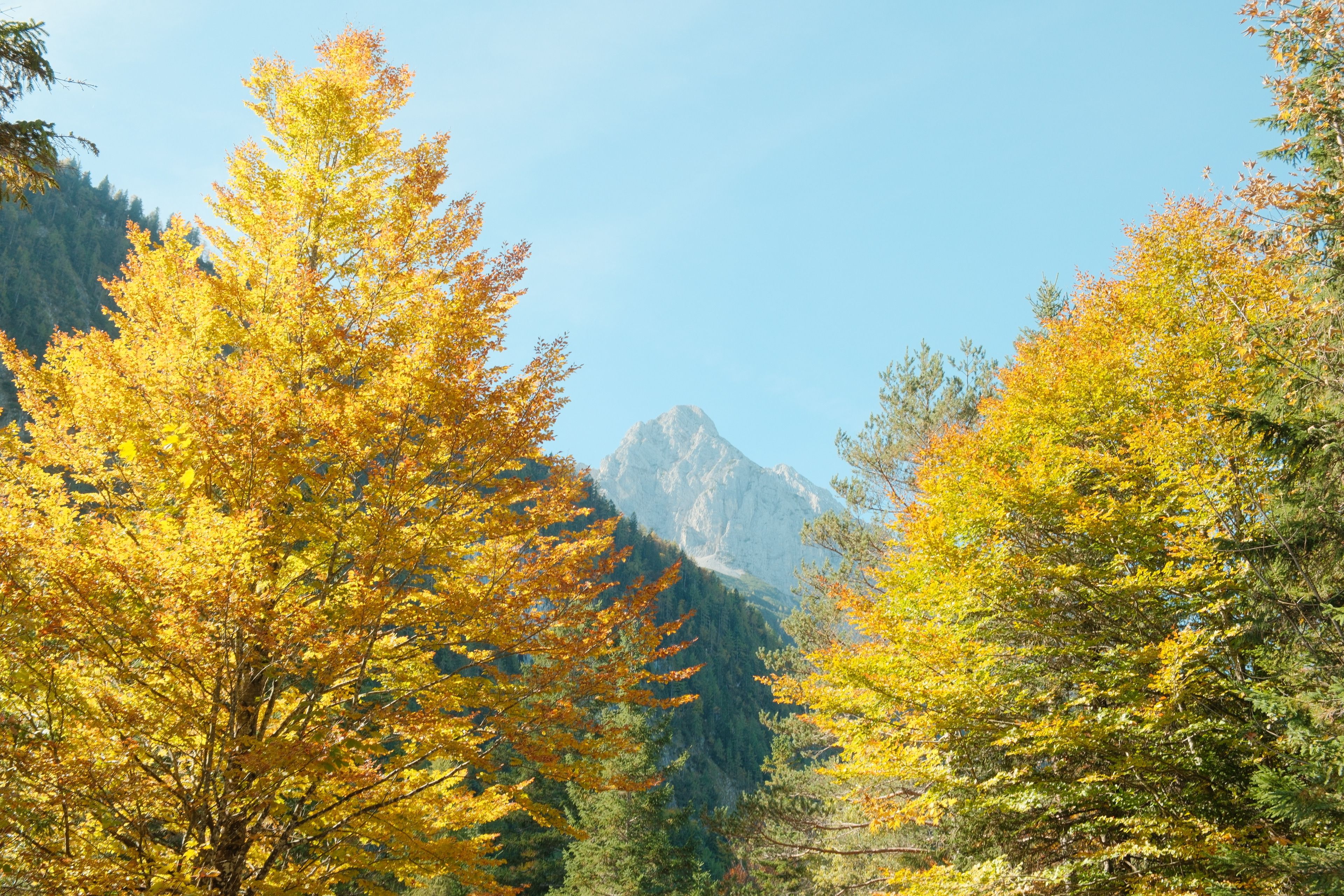 Scenic Autumn View in Mittenwald, Germany · Free Stock Photo