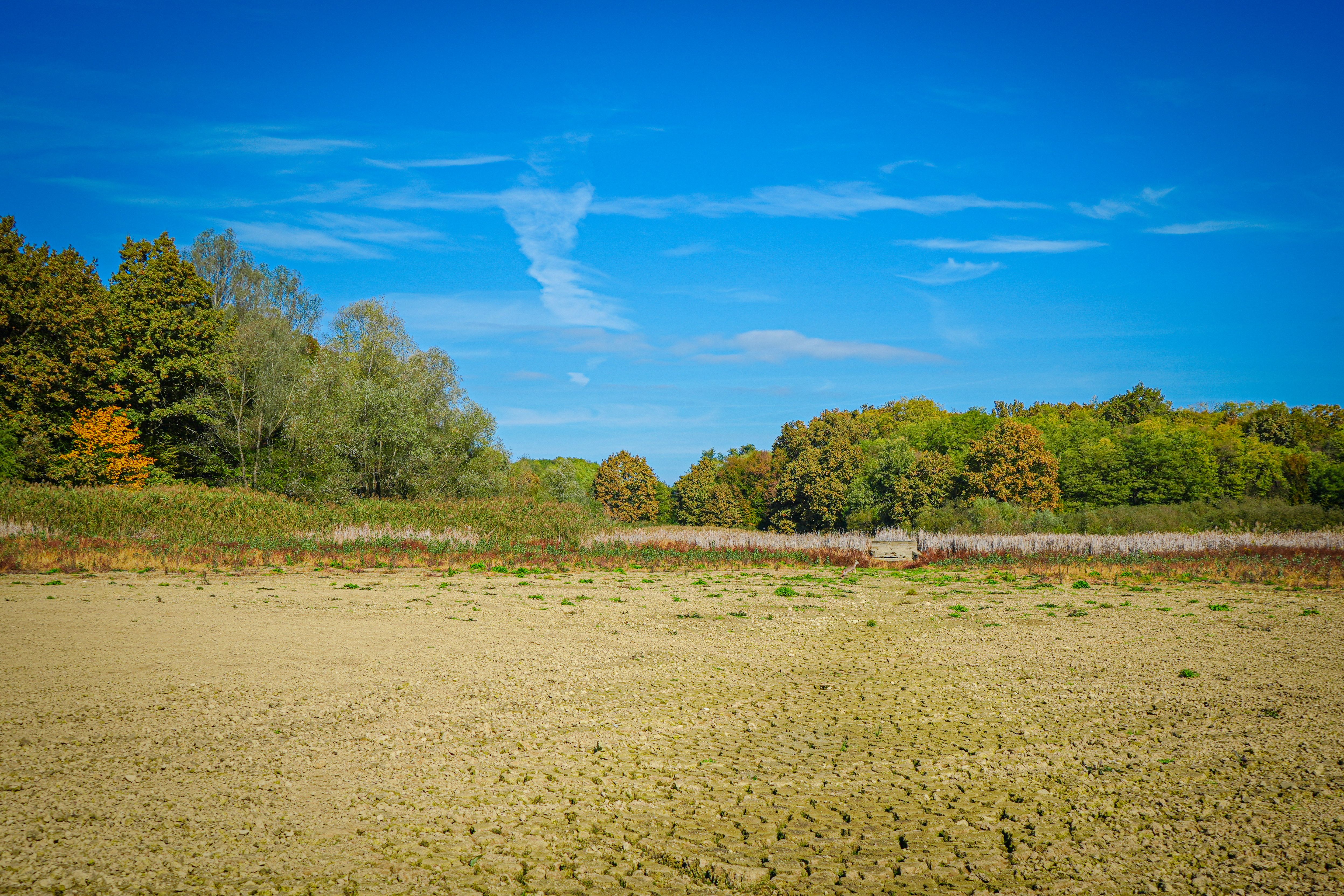 Free stock photo of agriculture, calm, clouds, countryside, cropland ...