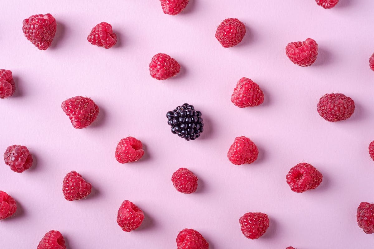 Raspberry Photos, Download The BEST Free Raspberry Stock Photos & HD Images