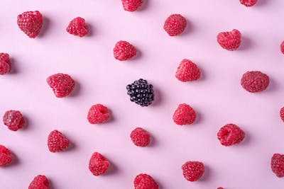 Raspberry Photos, Download The BEST Free Raspberry Stock Photos & HD Images