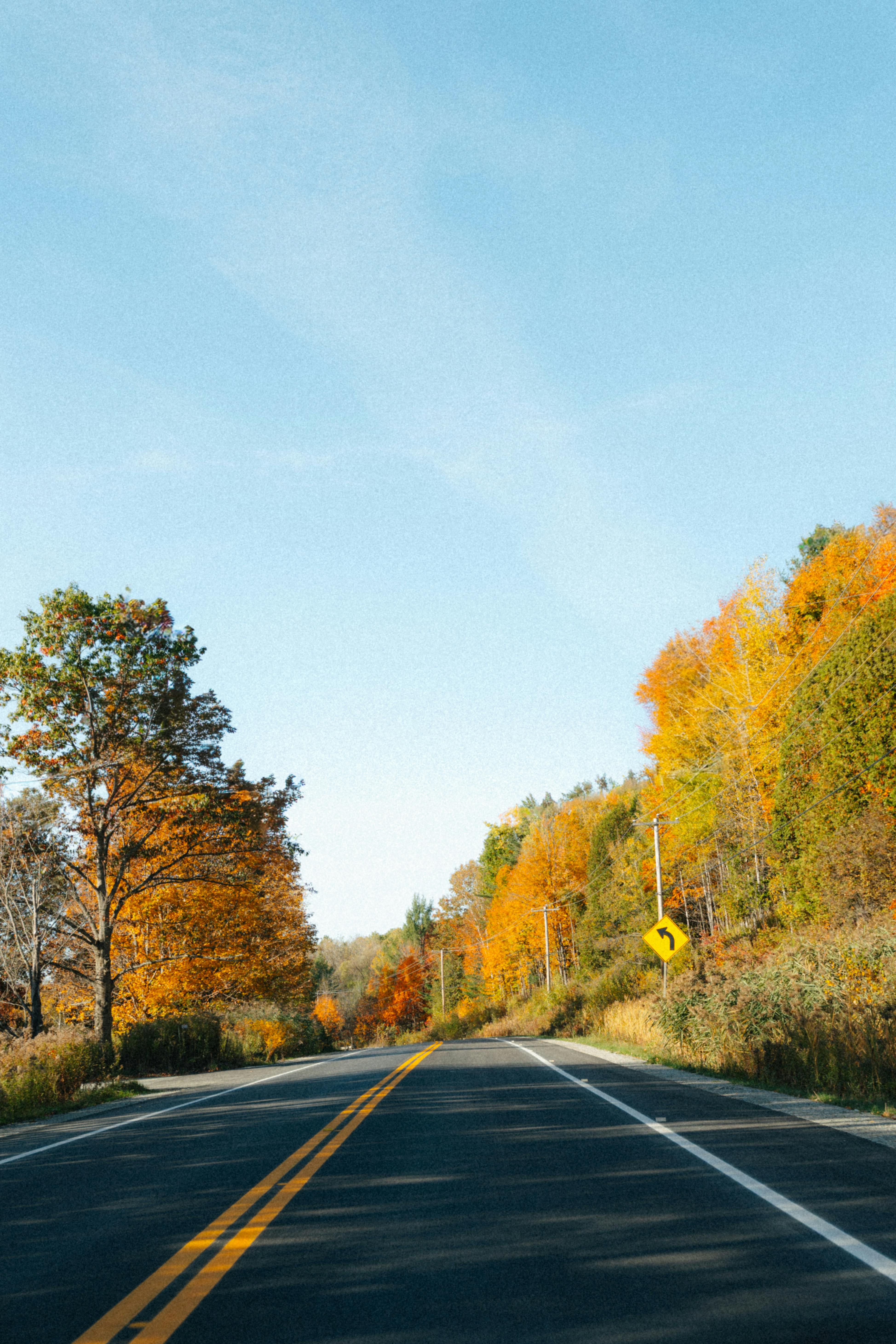 Scenic Autumn Road in North Hatley, Québec · Free Stock Photo