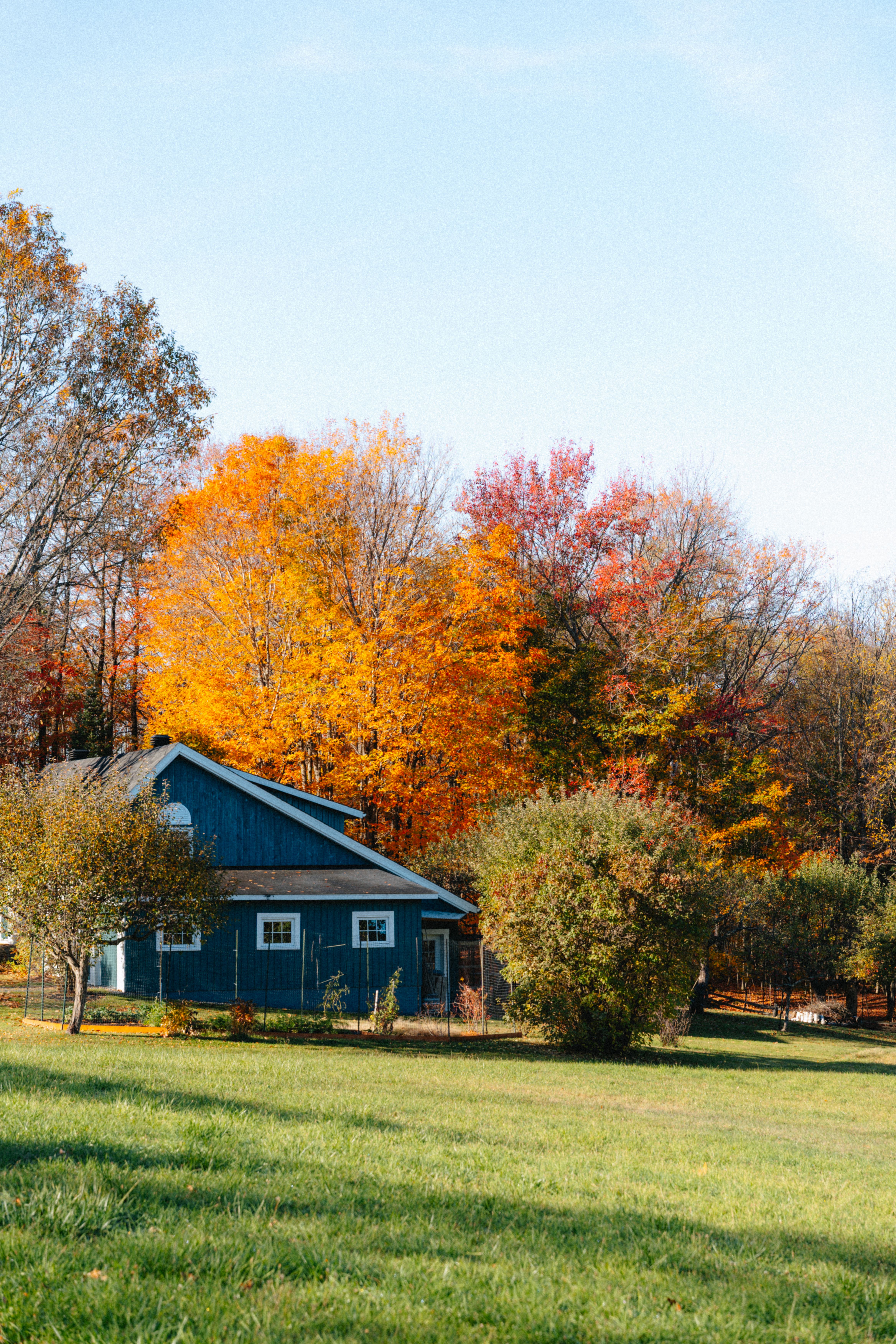 Charming Blue House in Autumnal Québec Landscape · Free Stock Photo