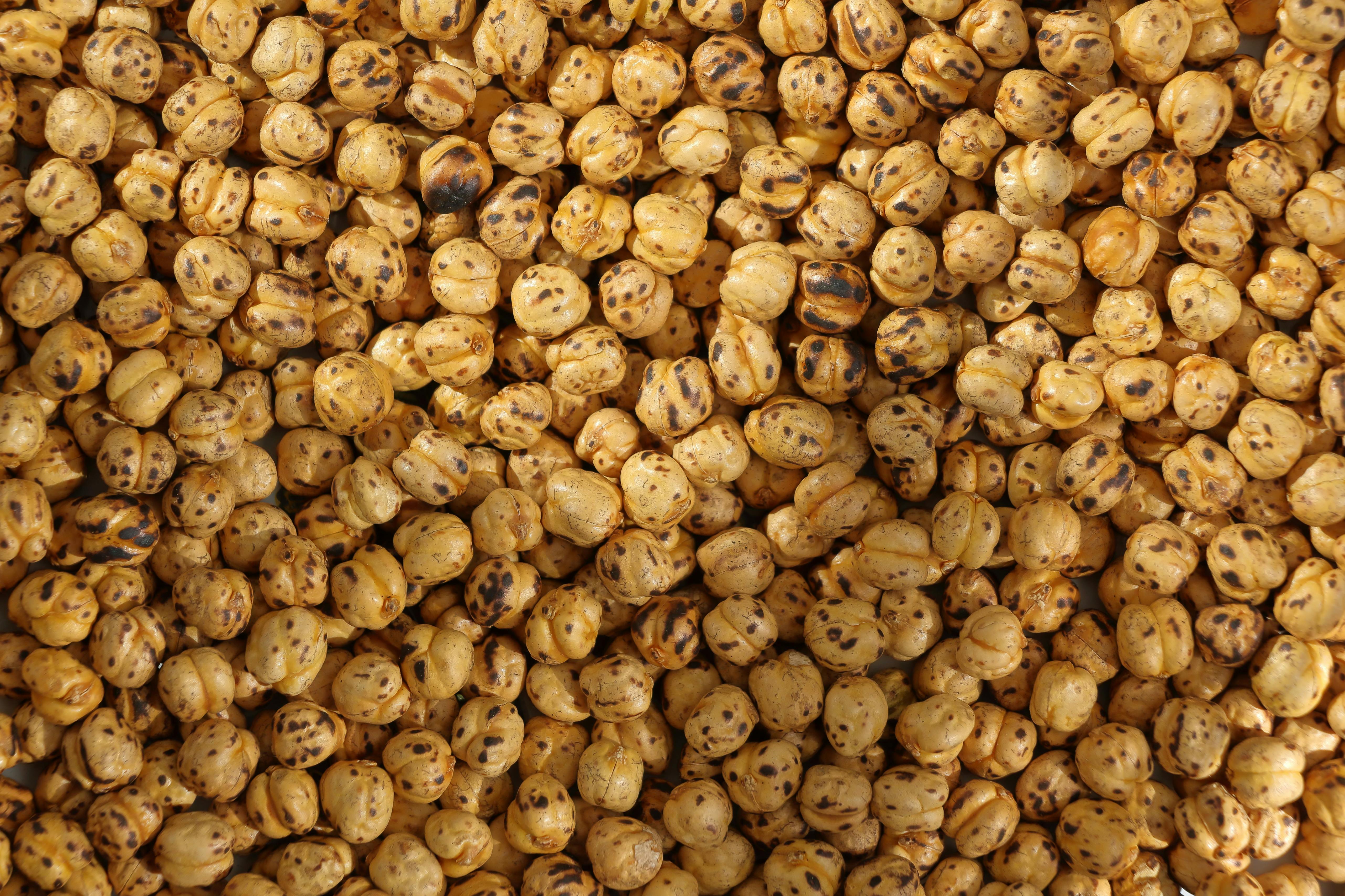 Pulses Photos, Download The BEST Free Pulses Stock Photos & HD Images