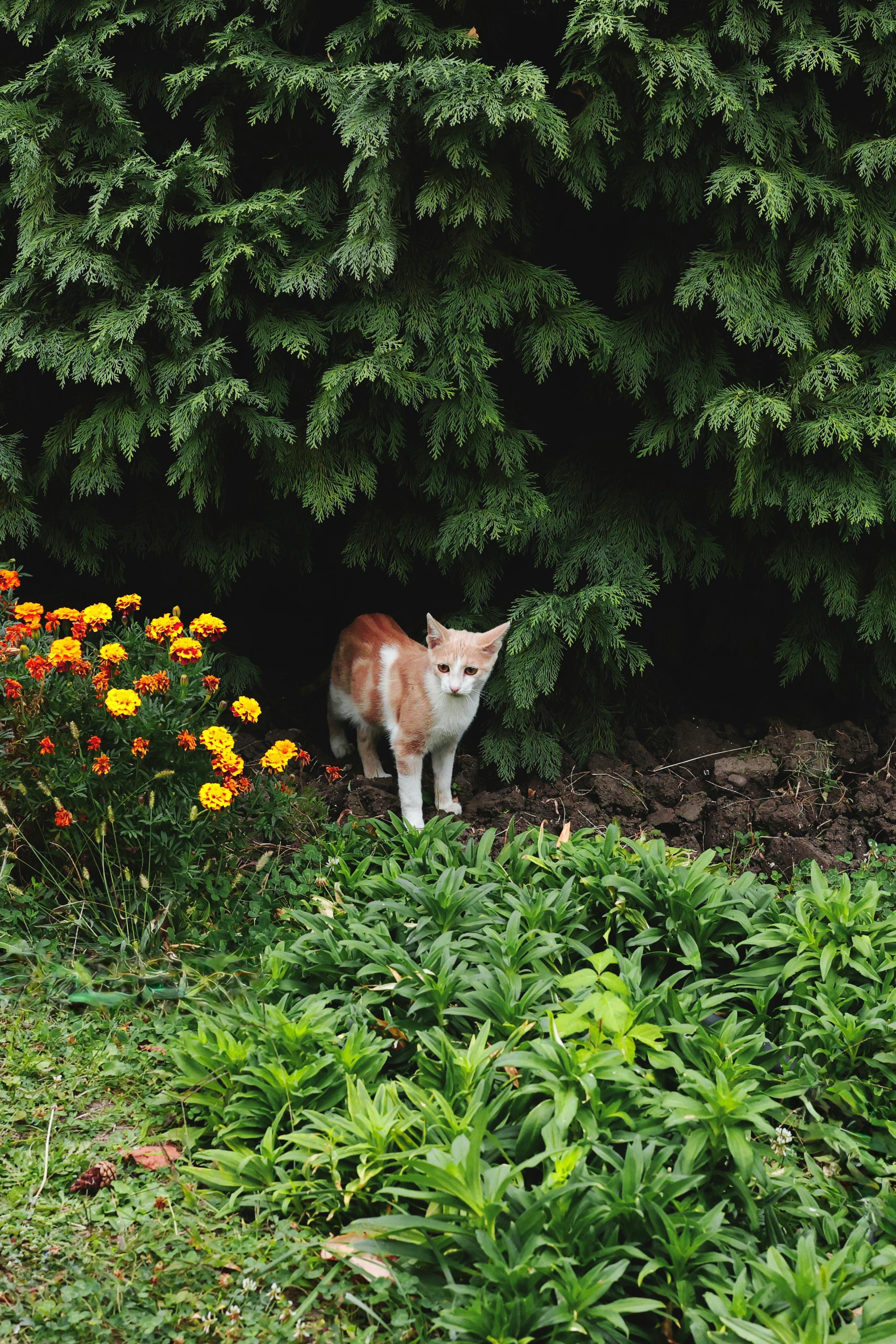 Nonchalant+Pfp Photos, Download The BEST Free Nonchalant+Pfp Stock ...