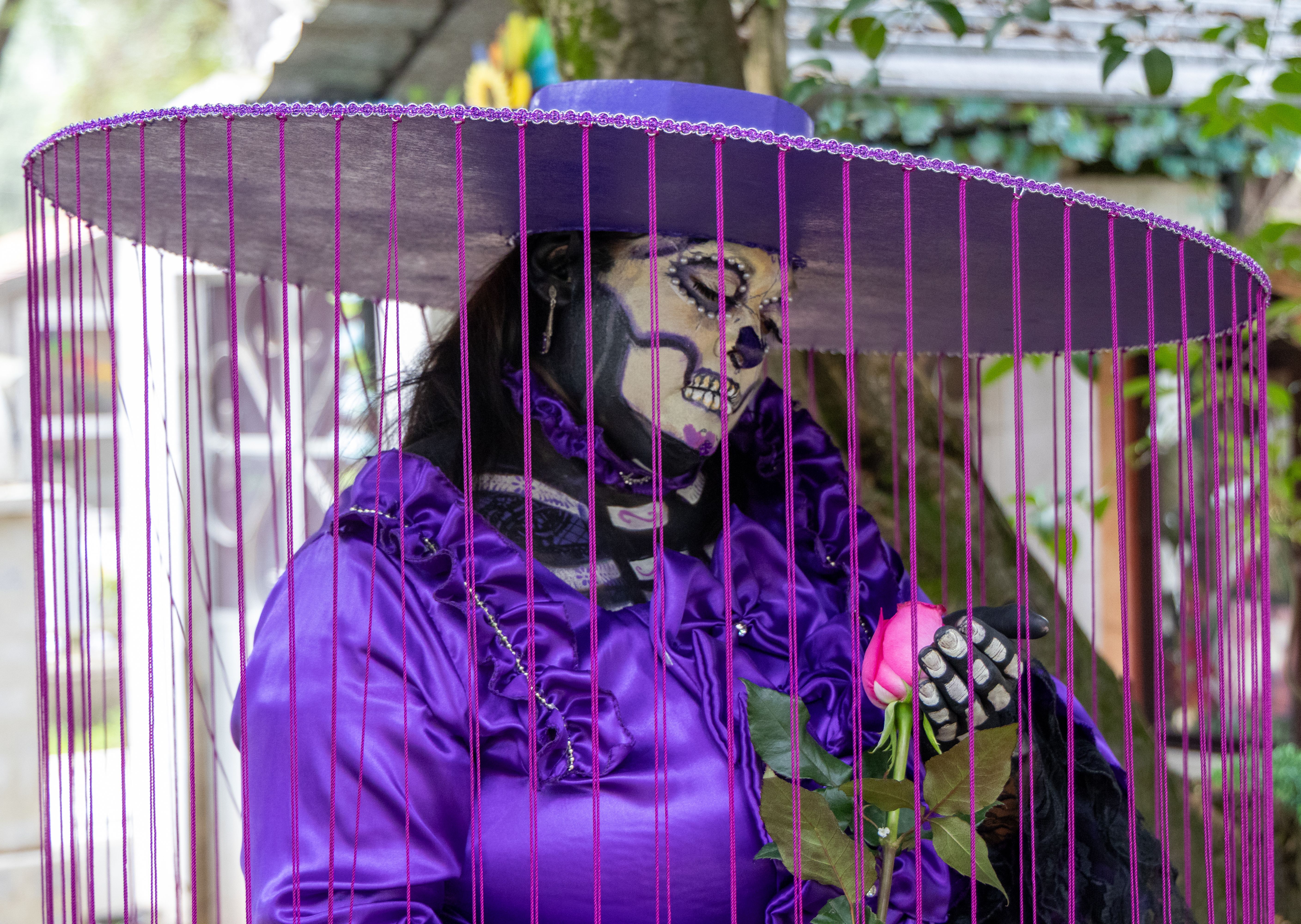 Huma Skeleton Photos, Download The BEST Free Huma Skeleton Stock Photos ...