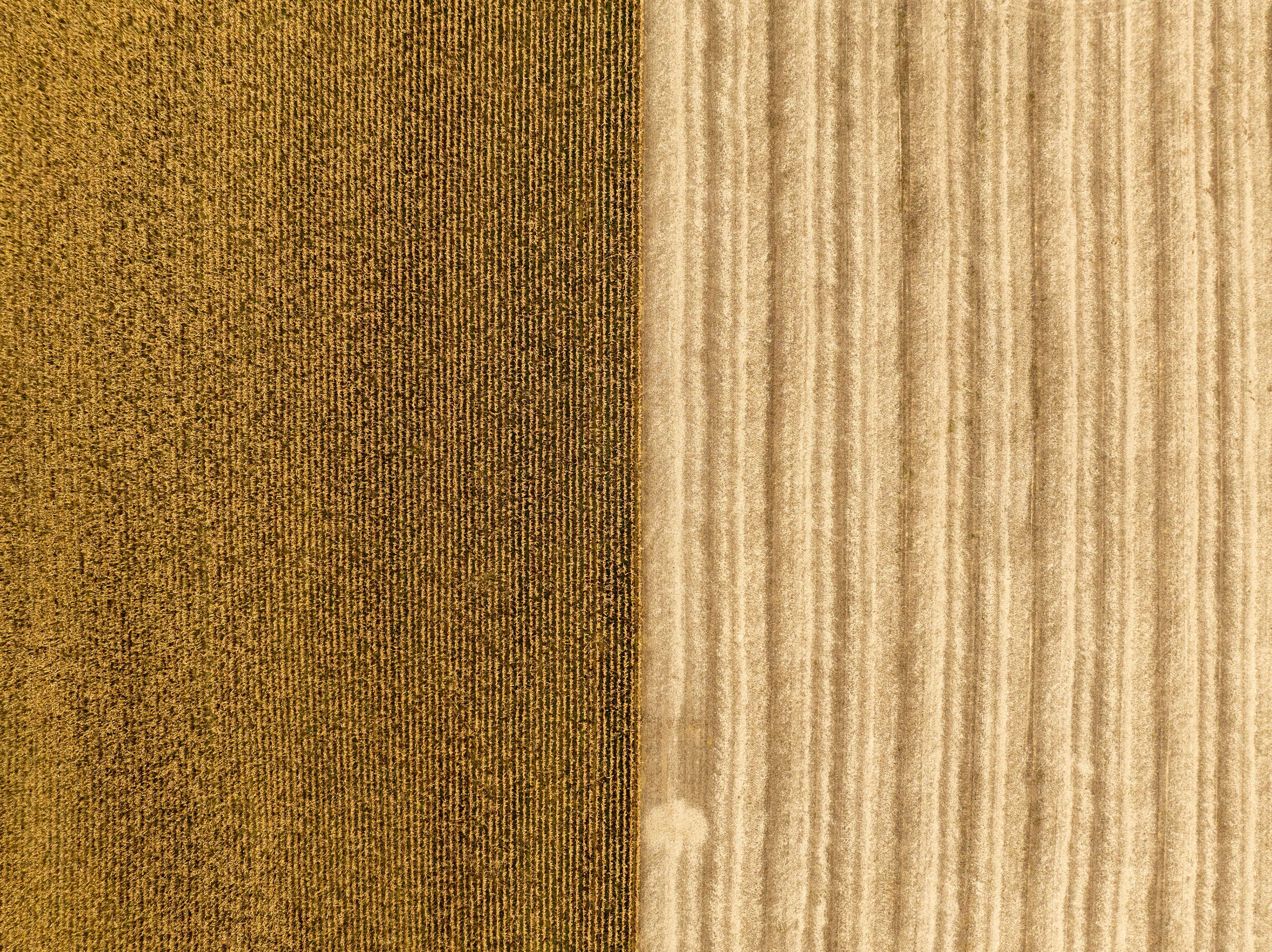 Aerial View of Split Farmlands in Croatia · Free Stock Photo