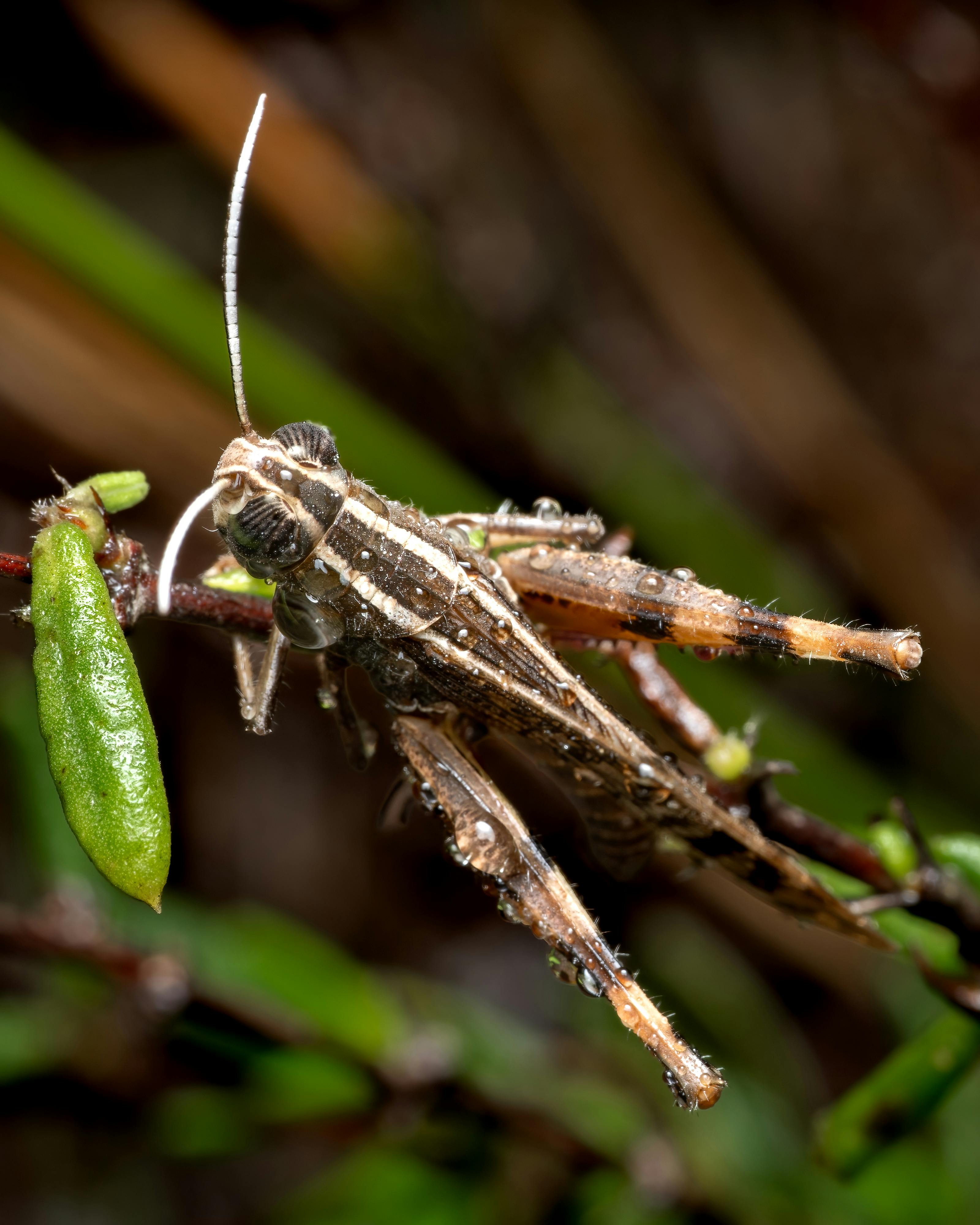 Anime Aura Wallpaper Photos, Download The BEST Free Anime Aura ...