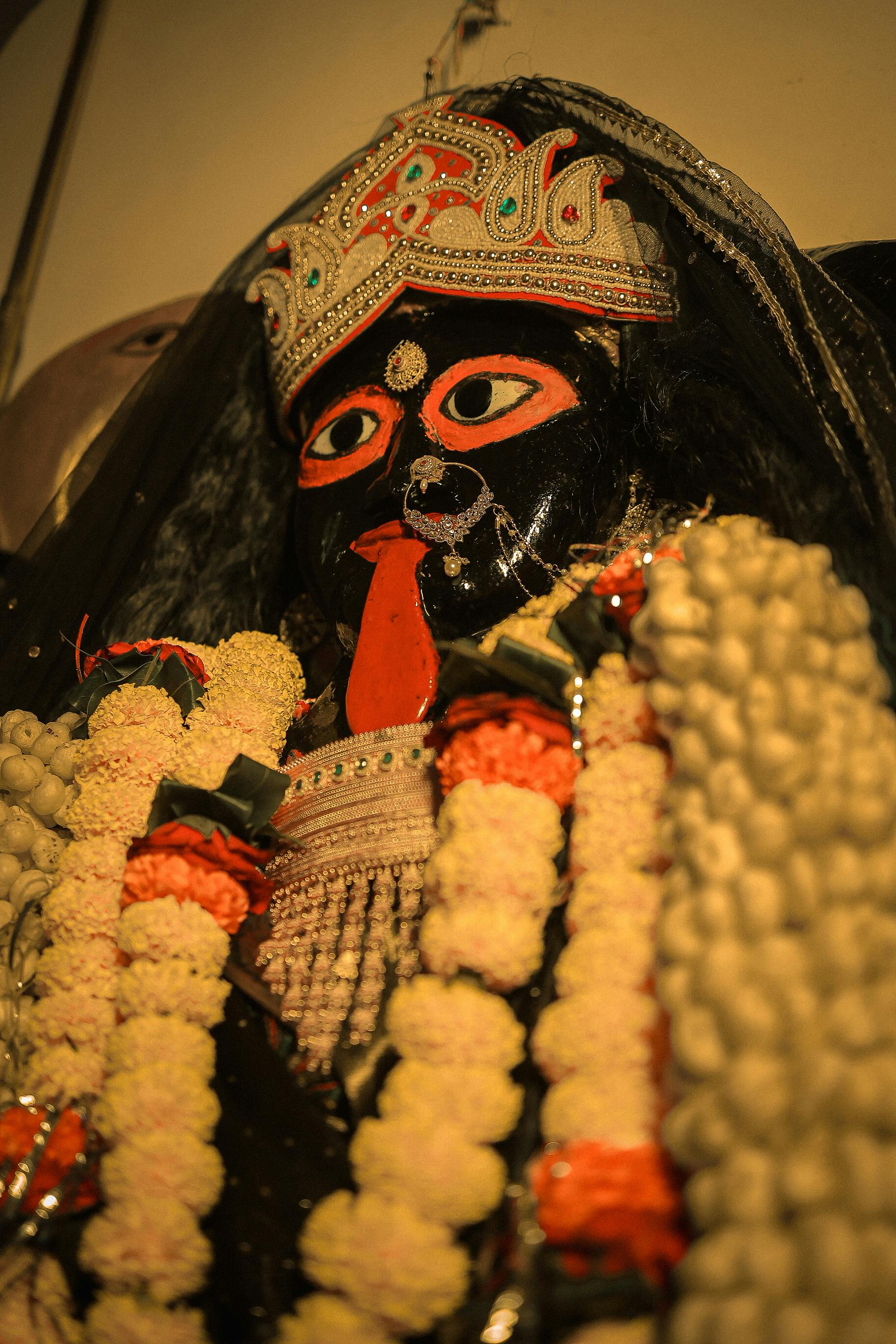 Viral Photos, Download The BEST Free Viral Stock Photos & HD Images