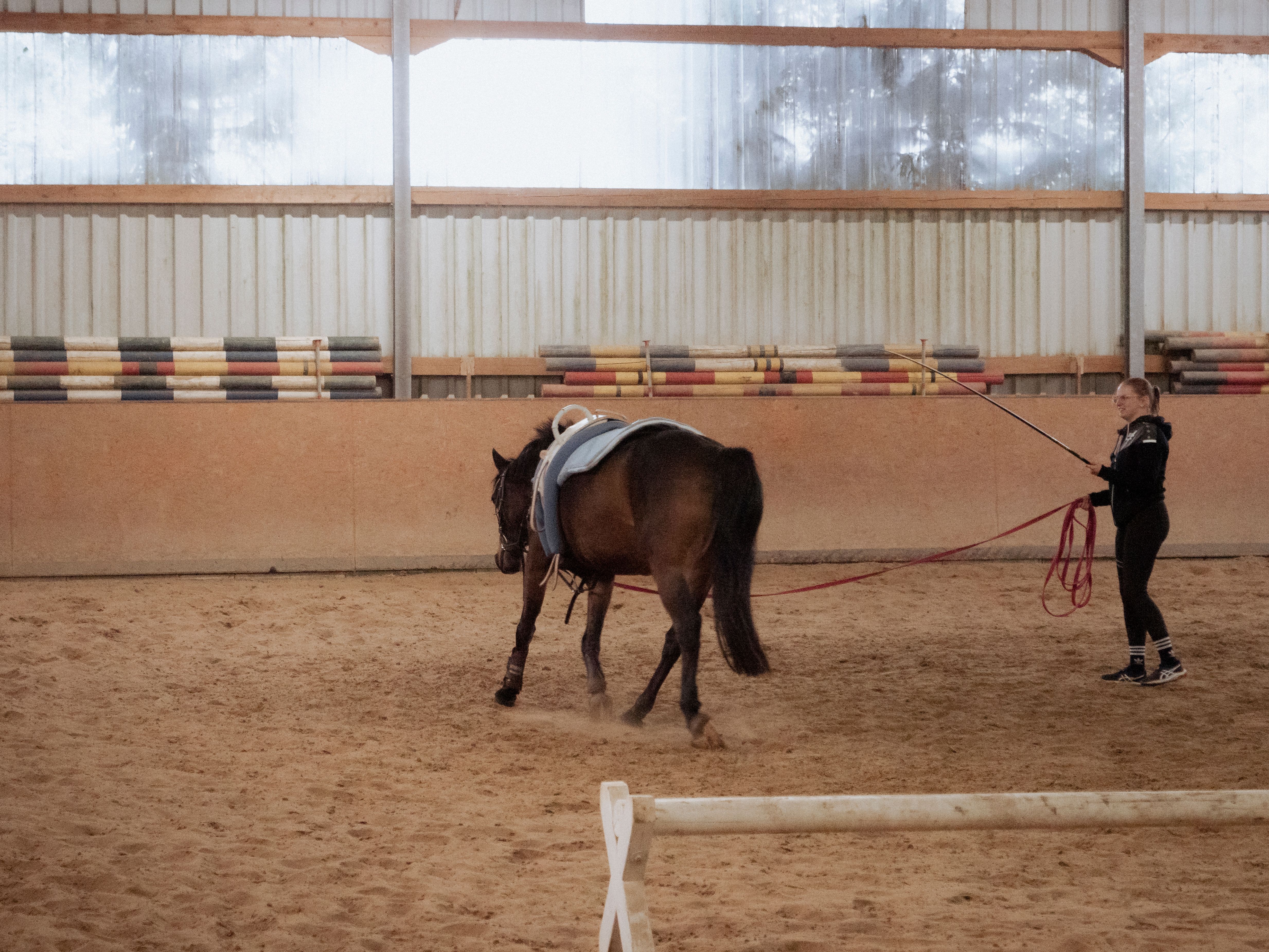 Indoor Horse Training in Equestrian Arena · Free Stock Photo