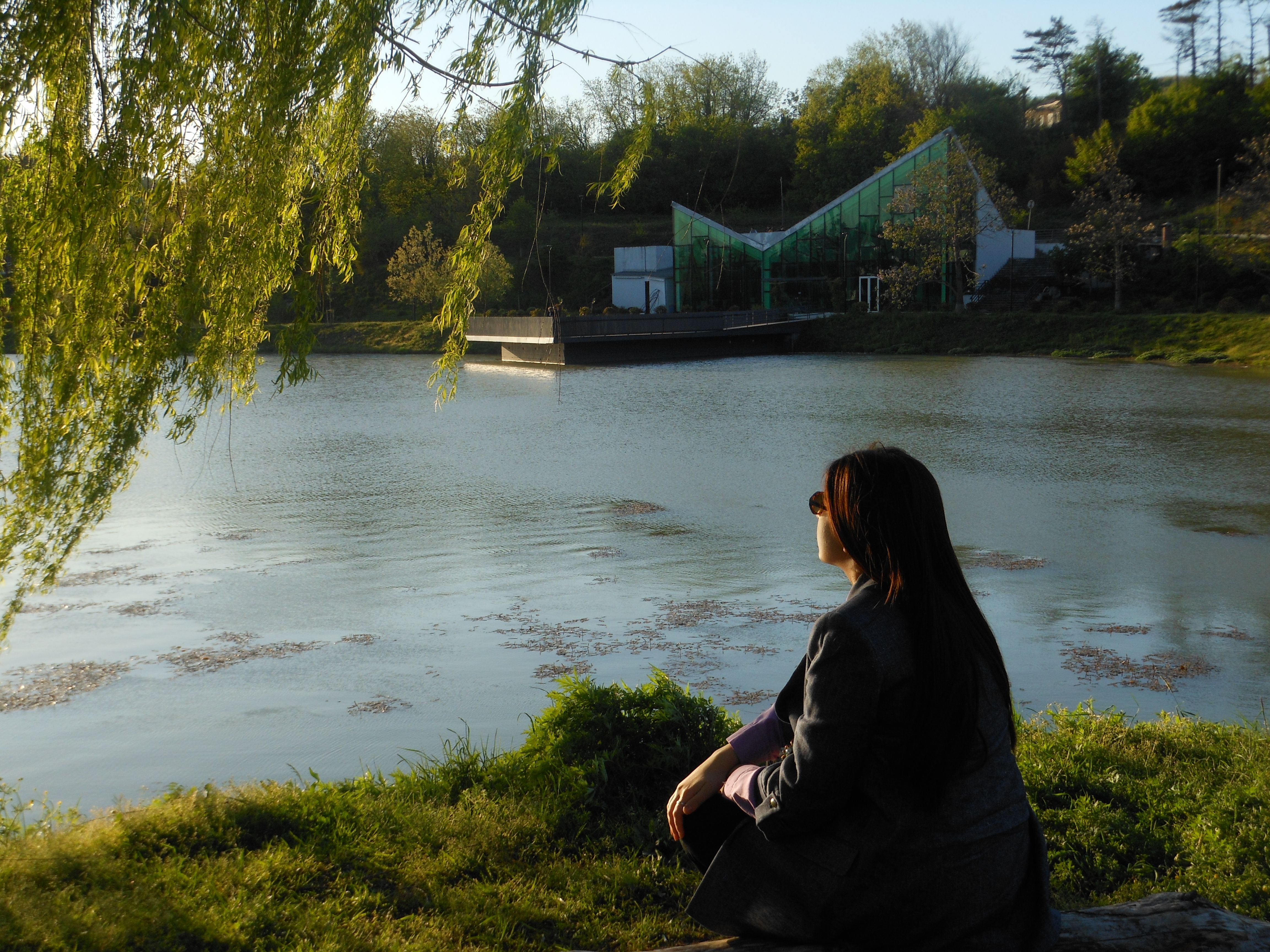 Woman Gazing At Water Photos, Download The BEST Free Woman Gazing At ...