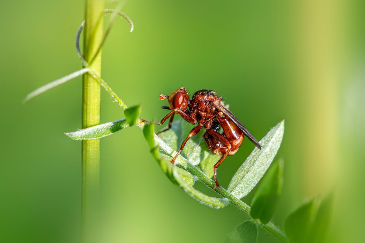 Small Photos, Download The BEST Free Small Stock Photos & HD Images