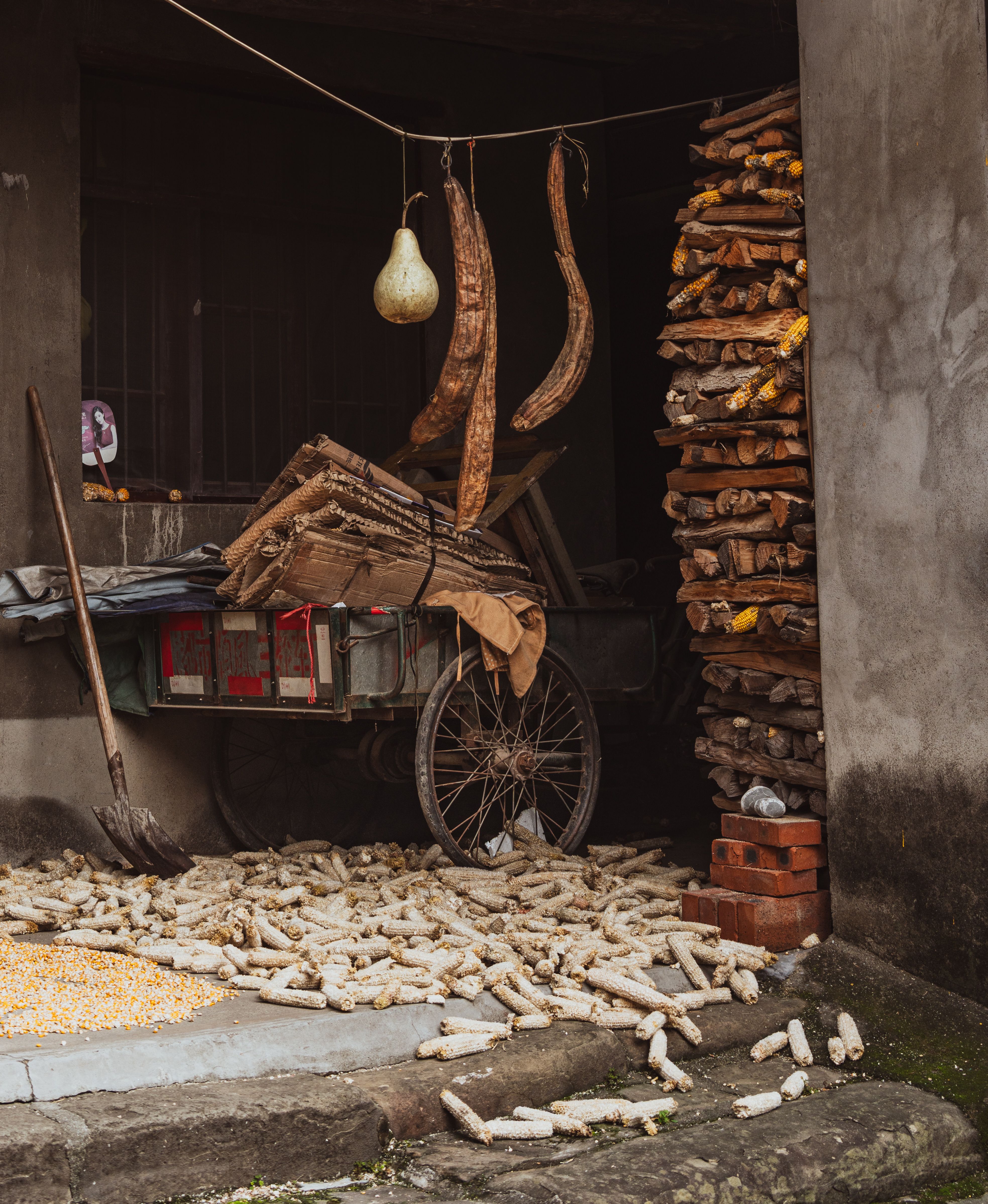 Man Working with Branches · Free Stock Photo