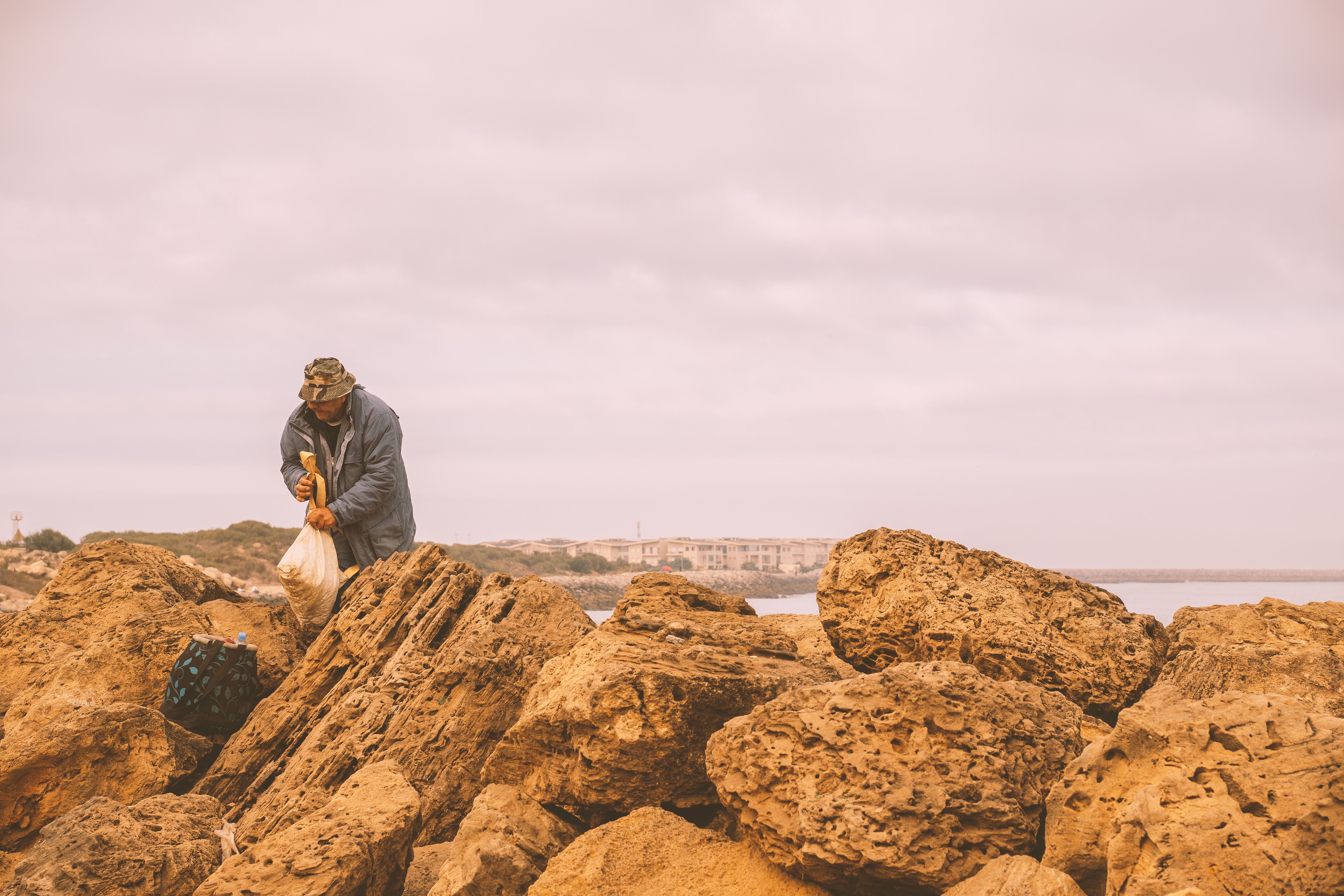 Man Collecting Seashells on a Rocky Shoreline · Free Stock Photo