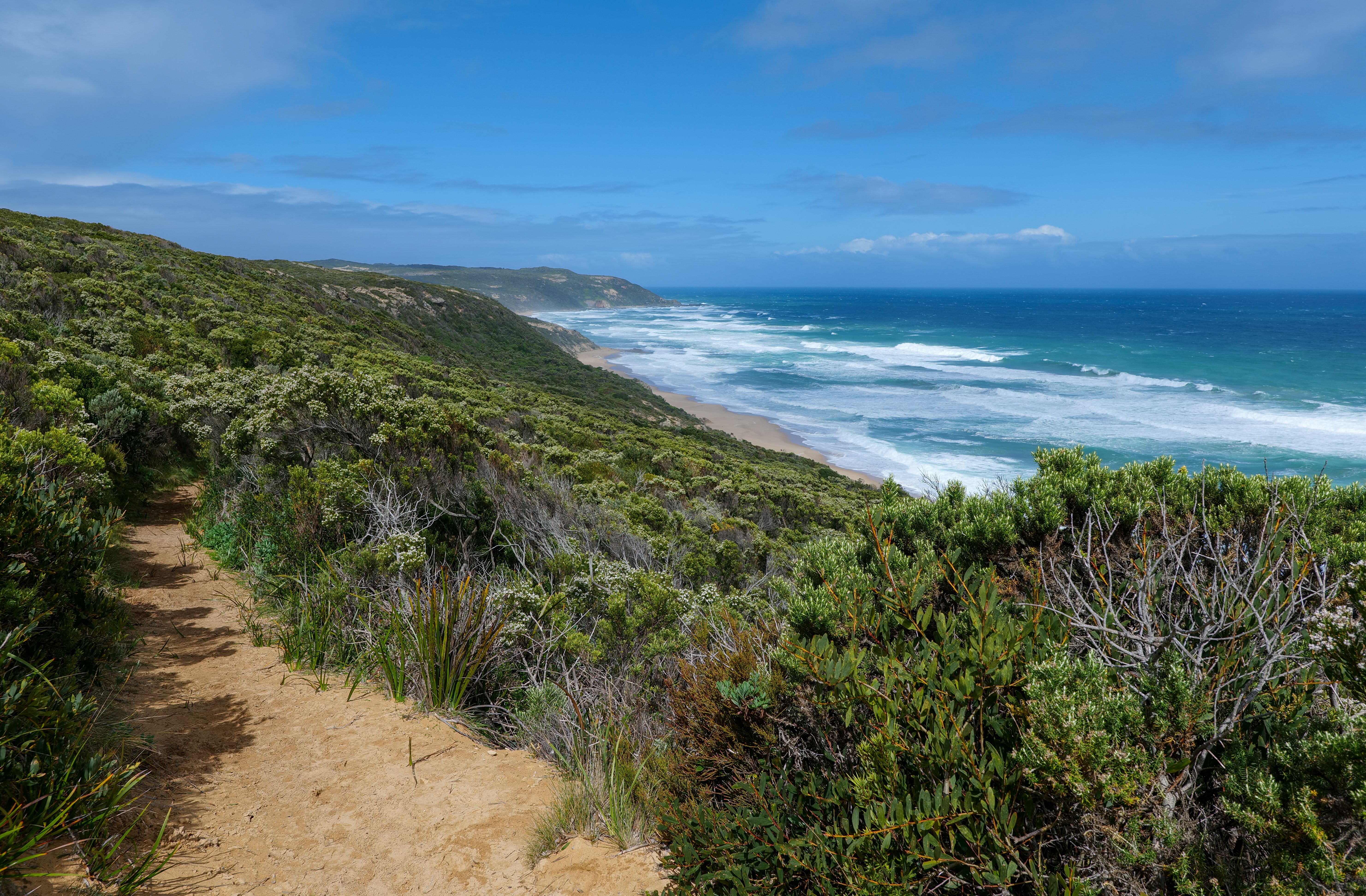 Stunning Coastal Path in Victoria, Australia · Free Stock Photo