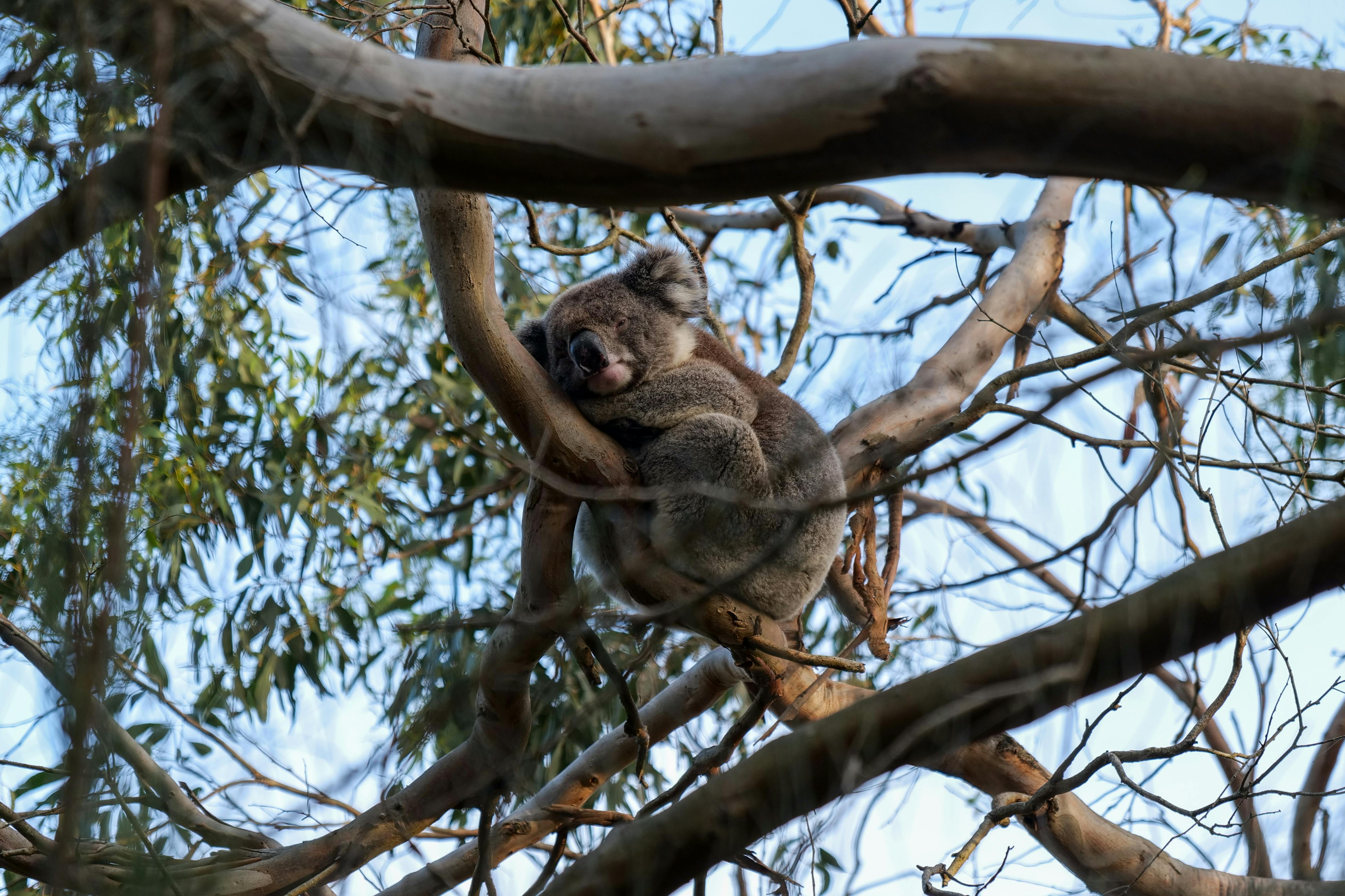 January Photos, Download The BEST Free January Stock Photos & HD Images