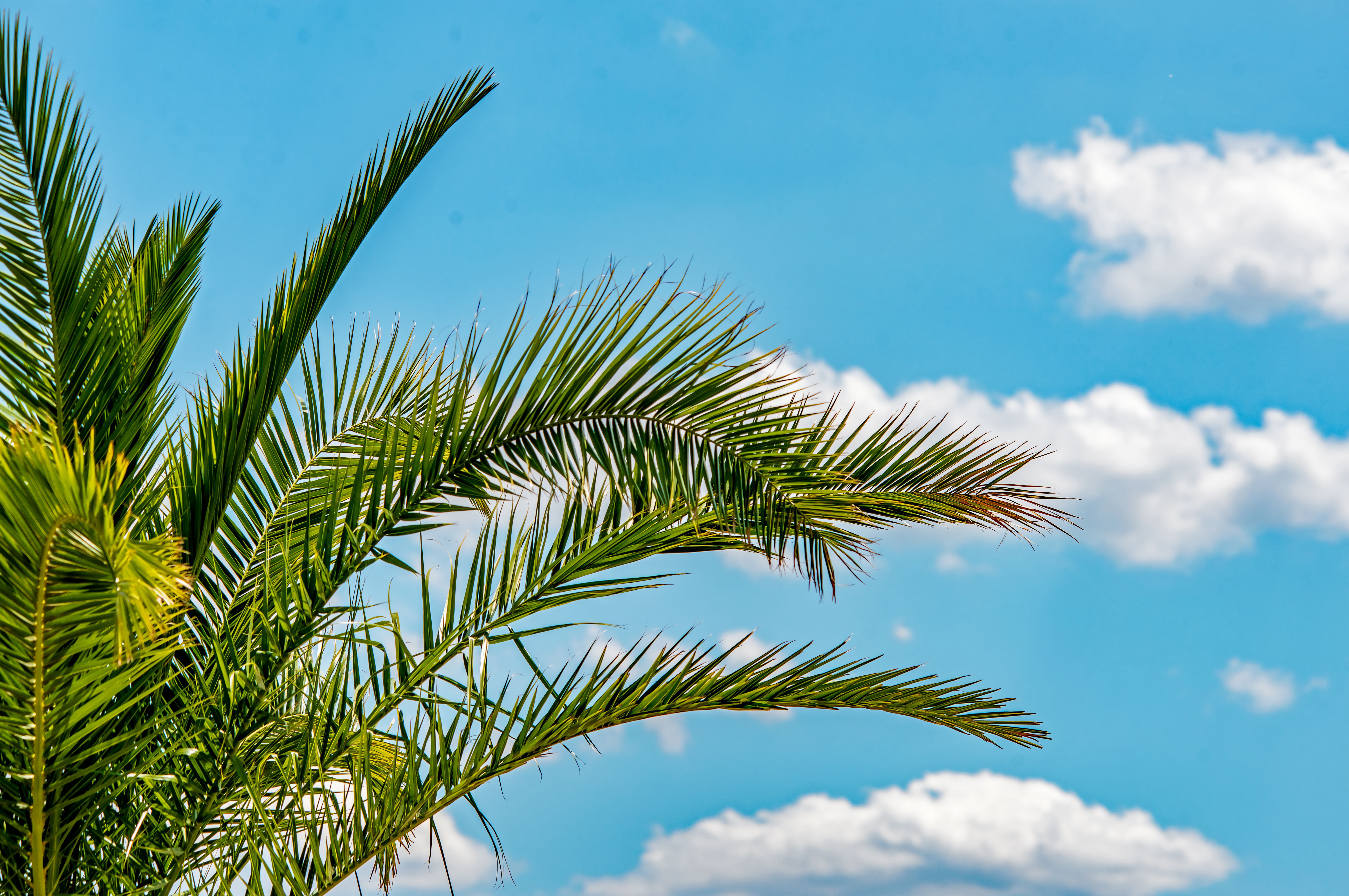 Blue Sky With Green Pahad Photos, Download The BEST Free Blue Sky With ...