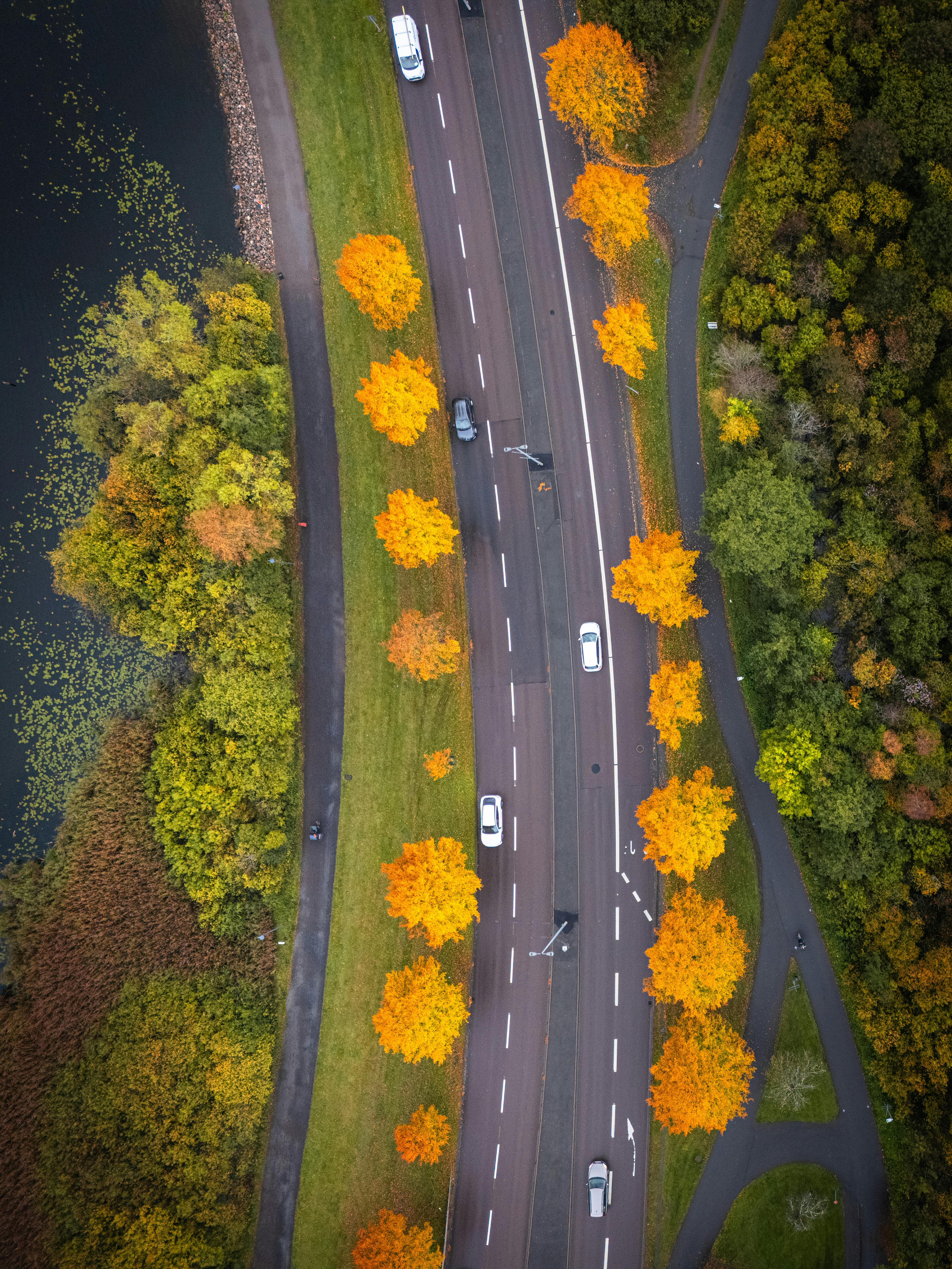 Cars 2025 Photos, Download The BEST Free Cars 2025 Stock Photos & HD Images