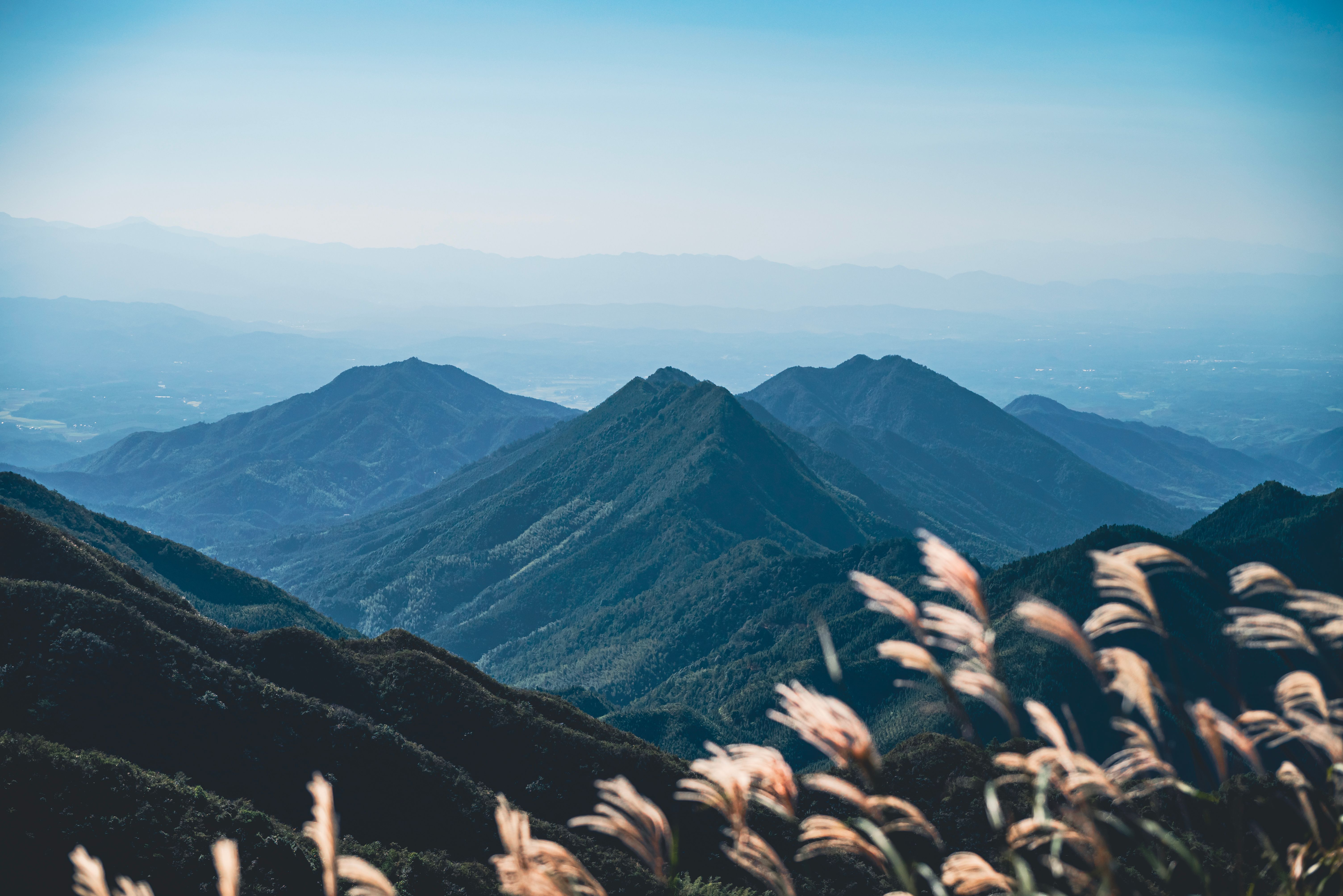 Scenic Mountain Range View with Grasses in Foreground · Free Stock Photo