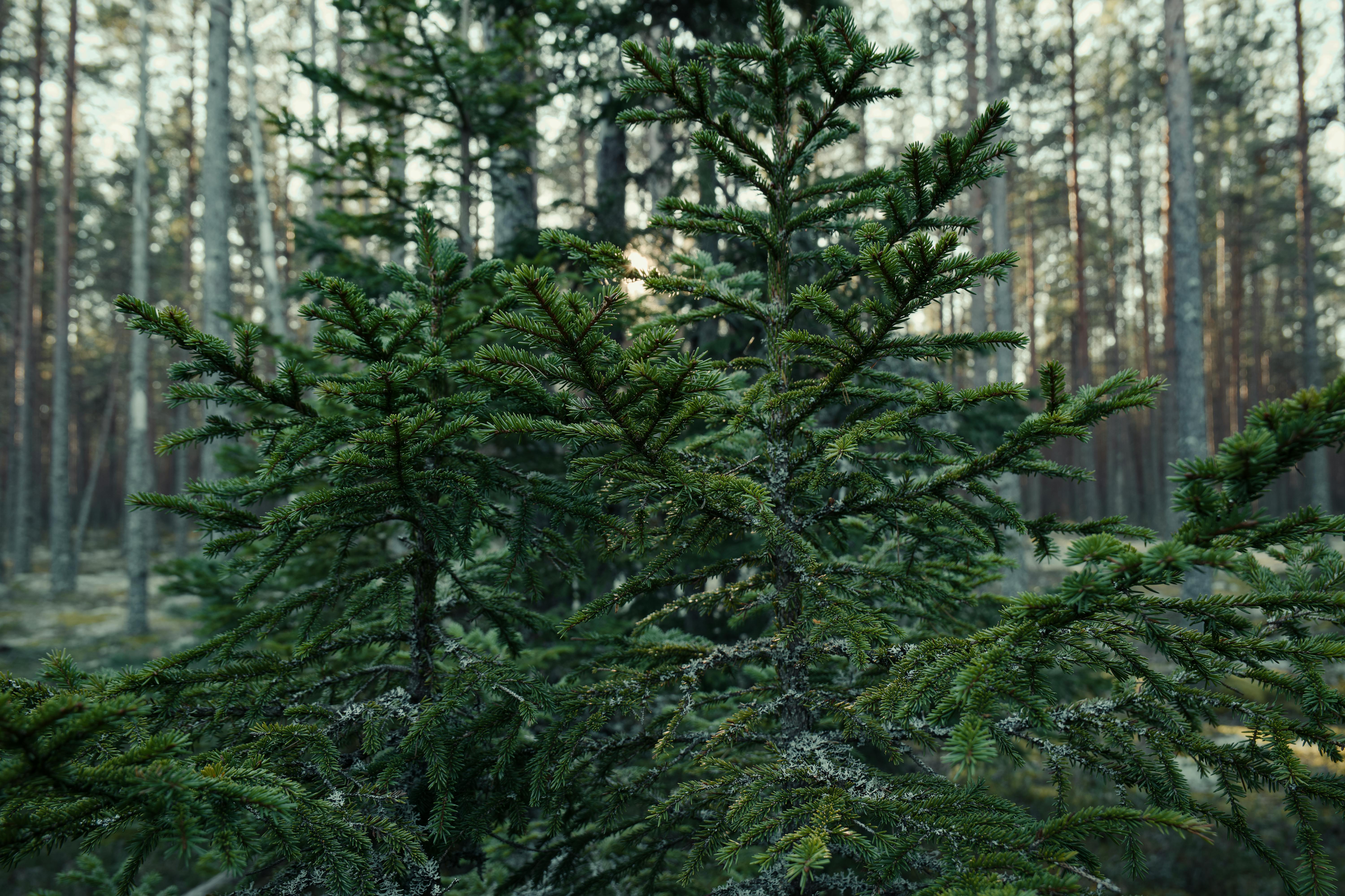 Erica+Stoll+Pictures+In+Bathing+Suit Photos, Download The BEST Free ...