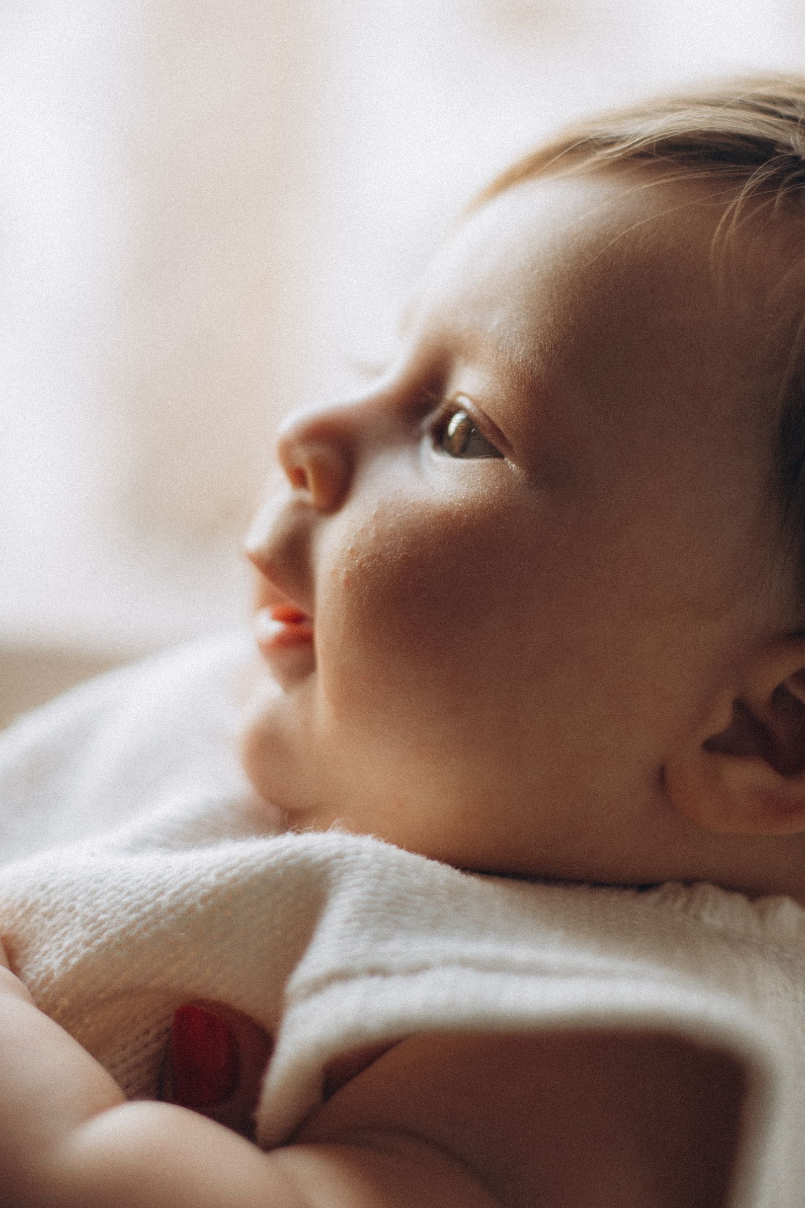 Baby Congratulations Photos, Download The BEST Free Baby ...
