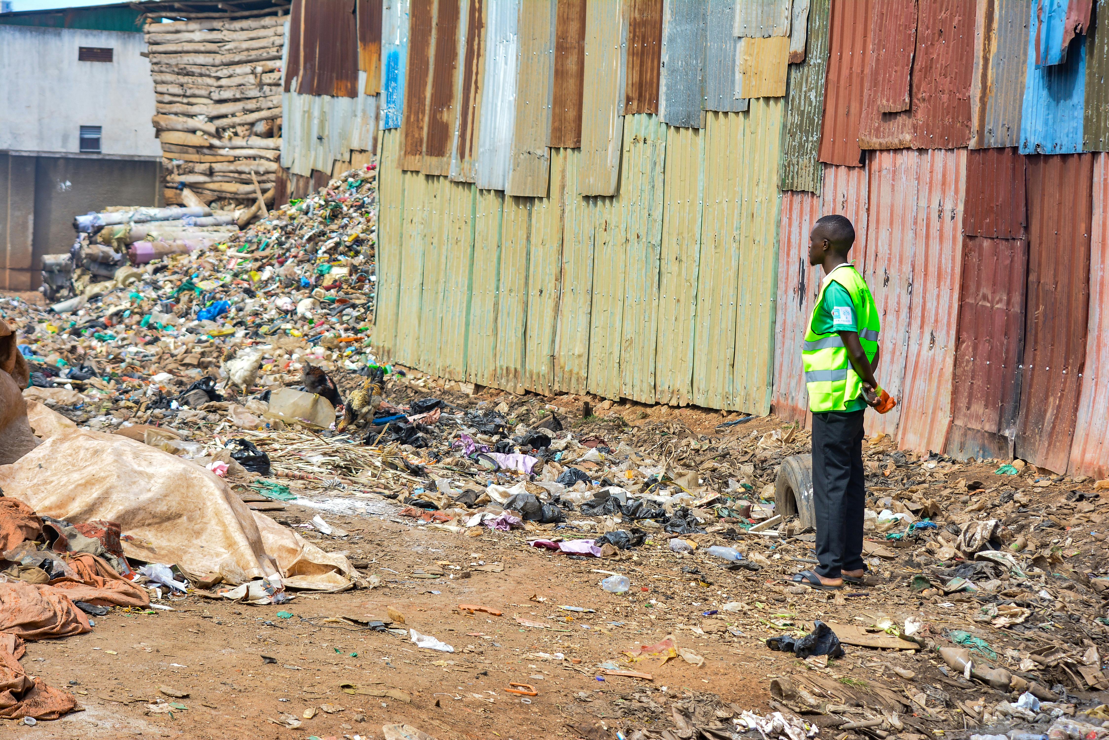 Litter Photos, Download The BEST Free Litter Stock Photos & HD Images