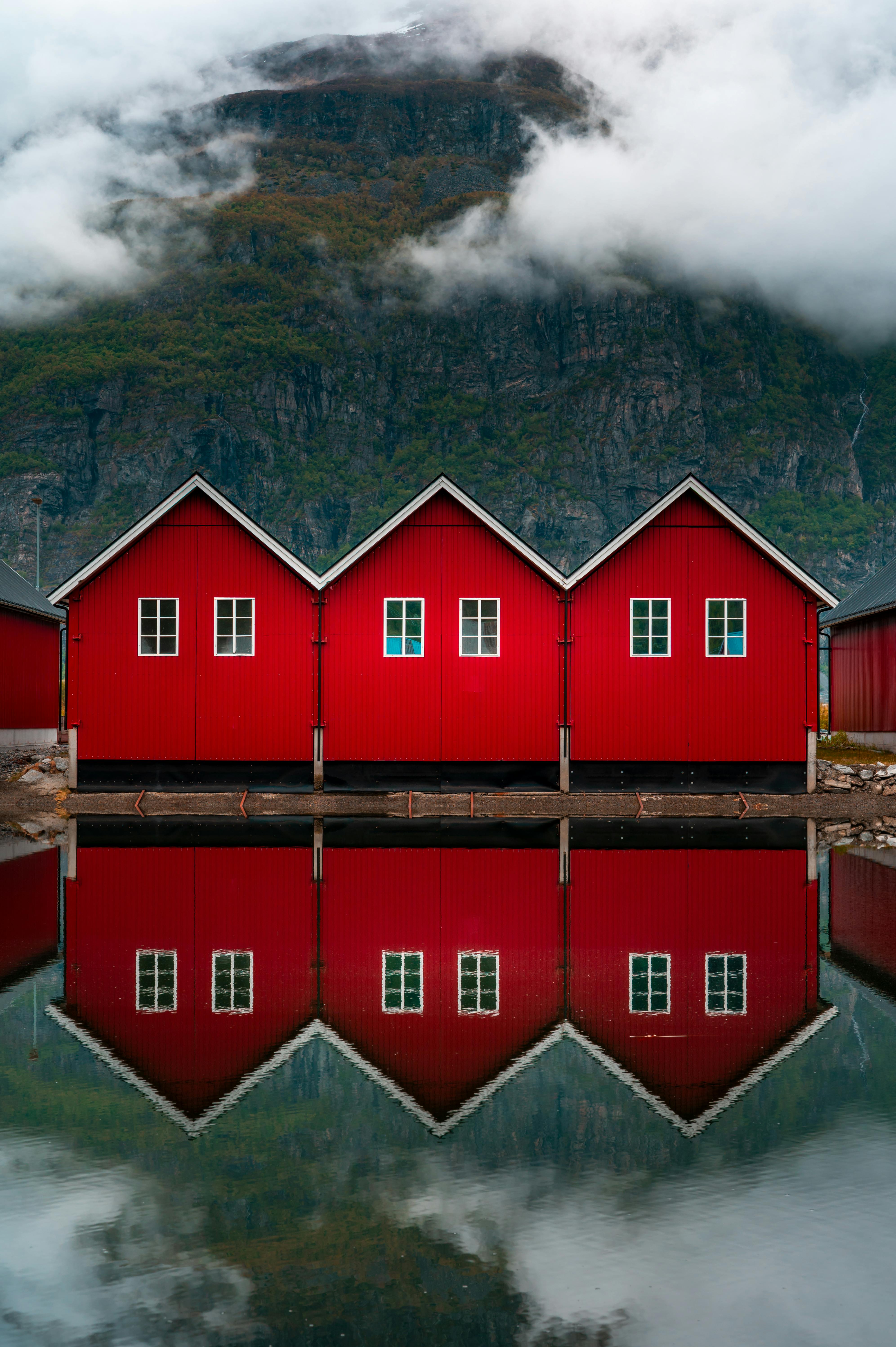 Michael+Olise+Wallpaper Photos, Download The BEST Free Michael+Olise ...