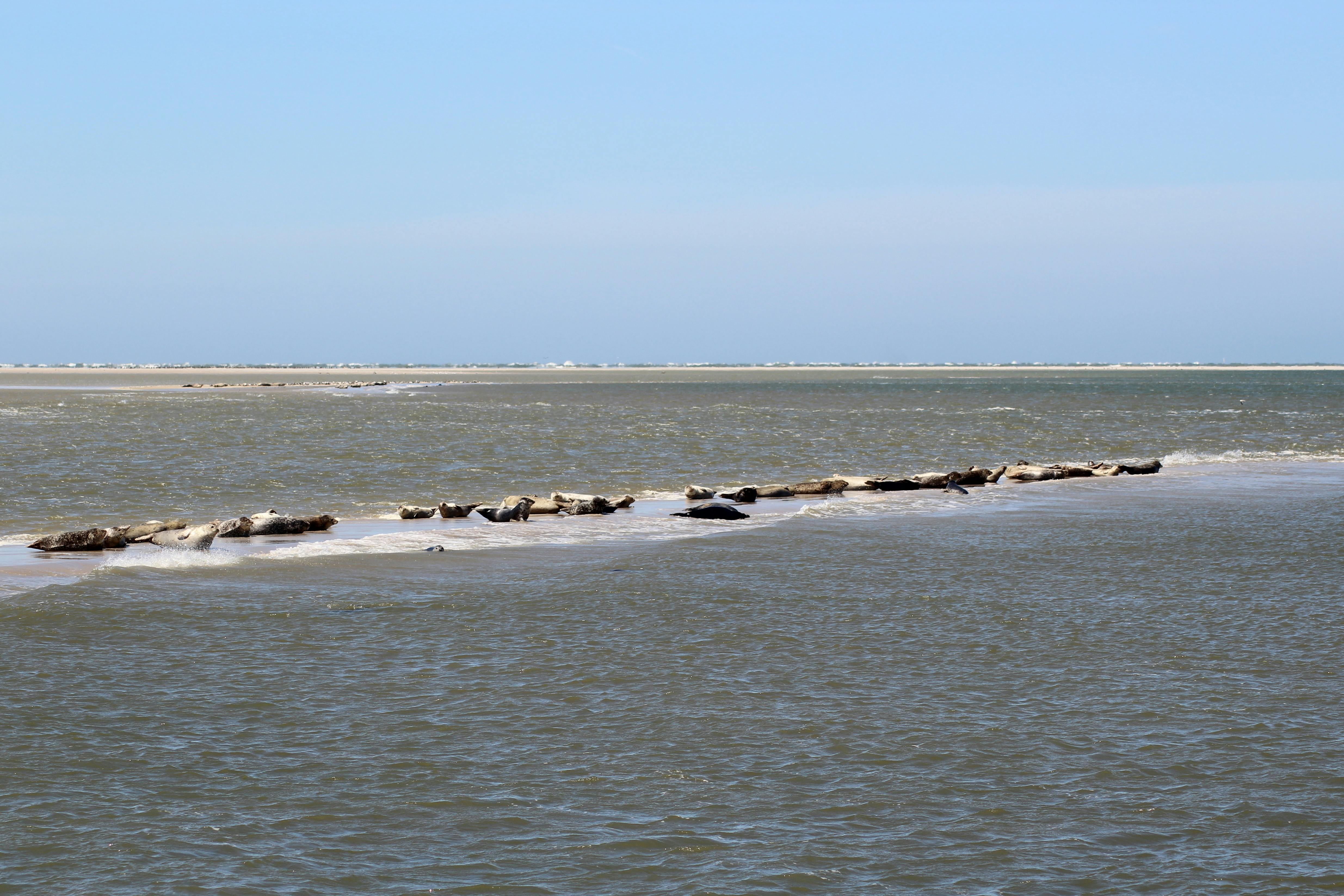 Outeiro+Beach+Wallpaper Photos, Download The BEST Free Outeiro+Beach ...