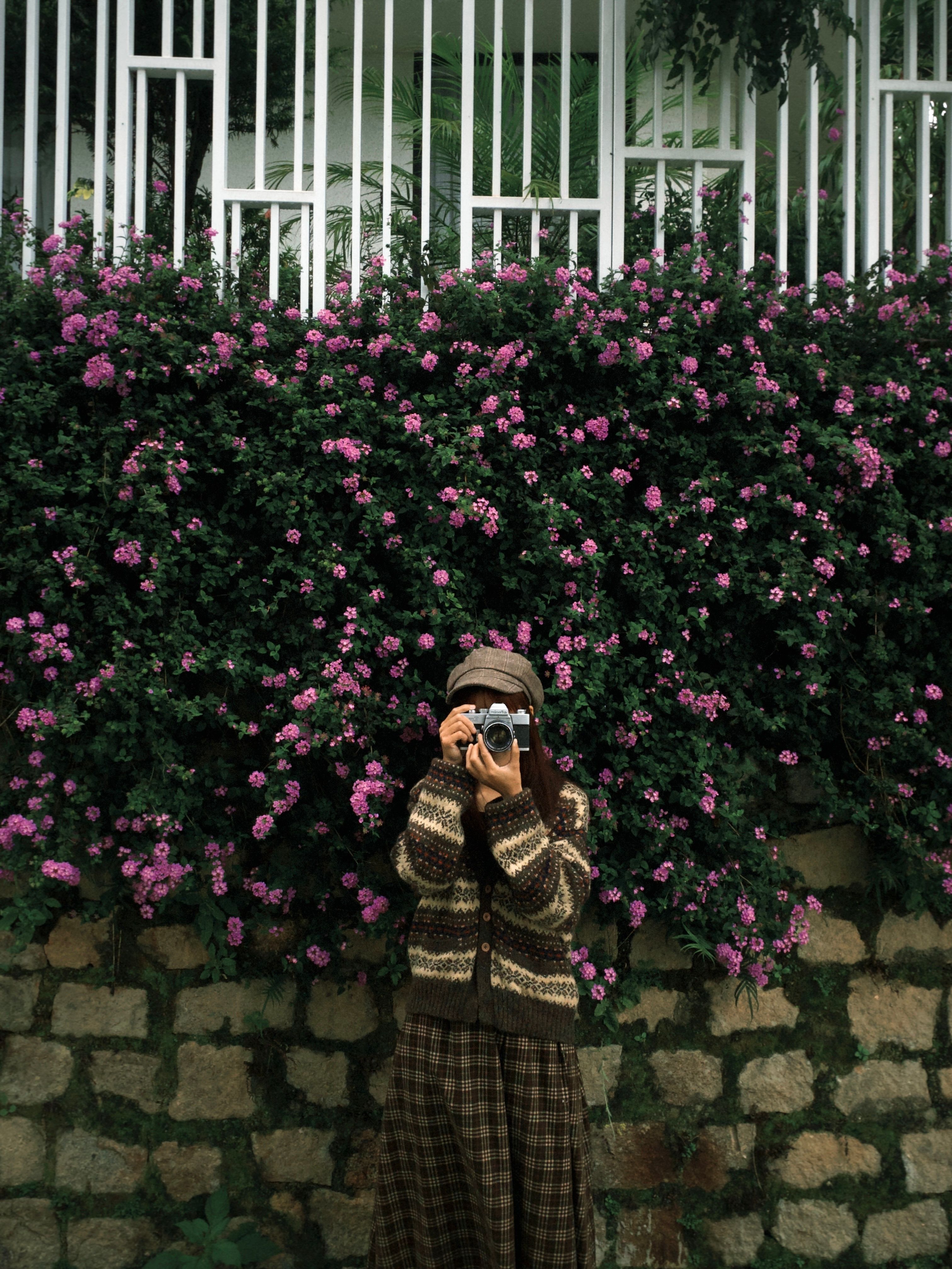 Nature Snapshot Photos, Download The BEST Free Nature Snapshot Stock ...
